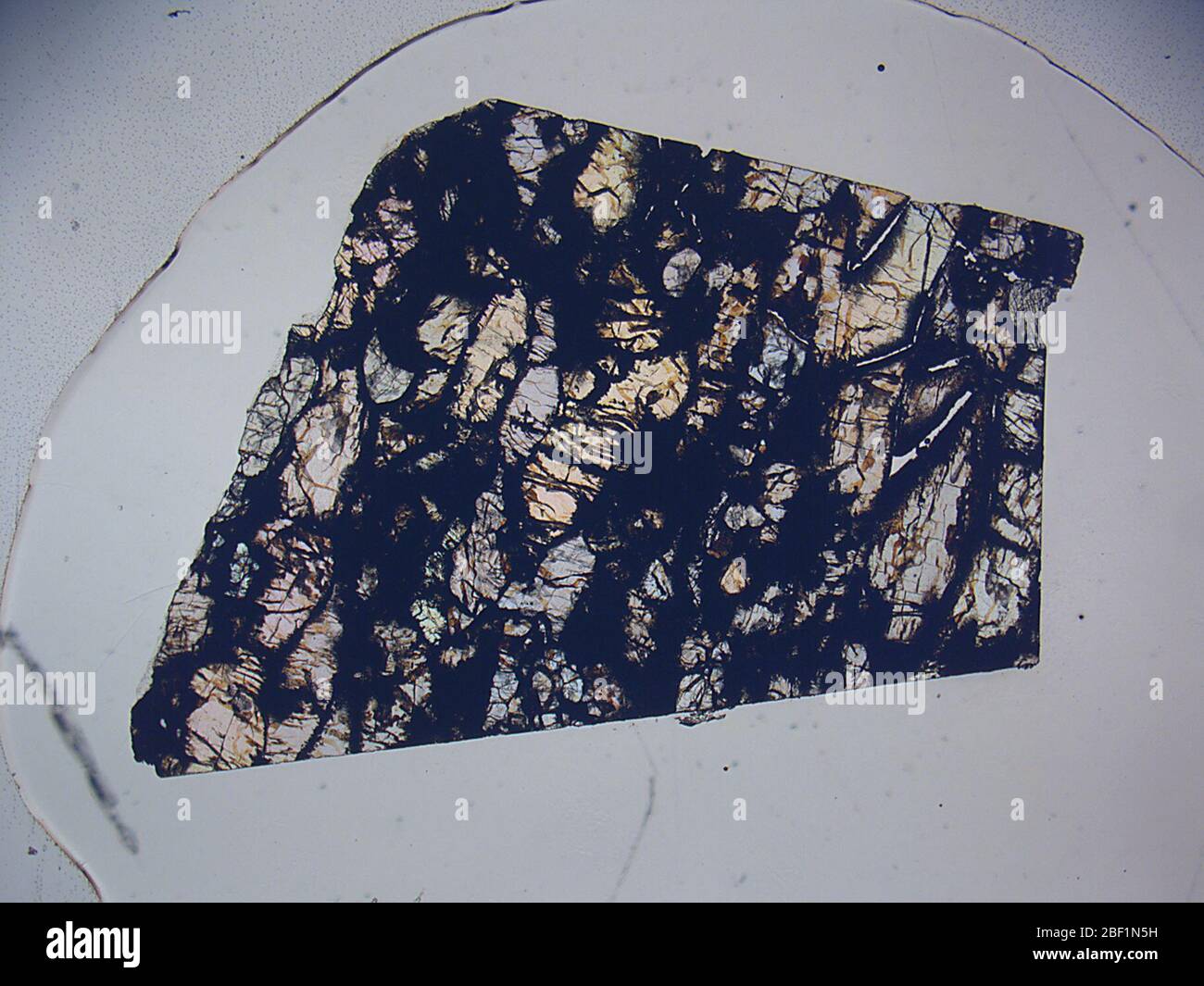 Kenna hi-res stock photography and images - Alamy