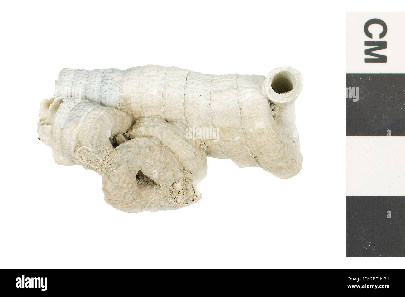 Turret Shell. This object is part of the Education and Outreach ...