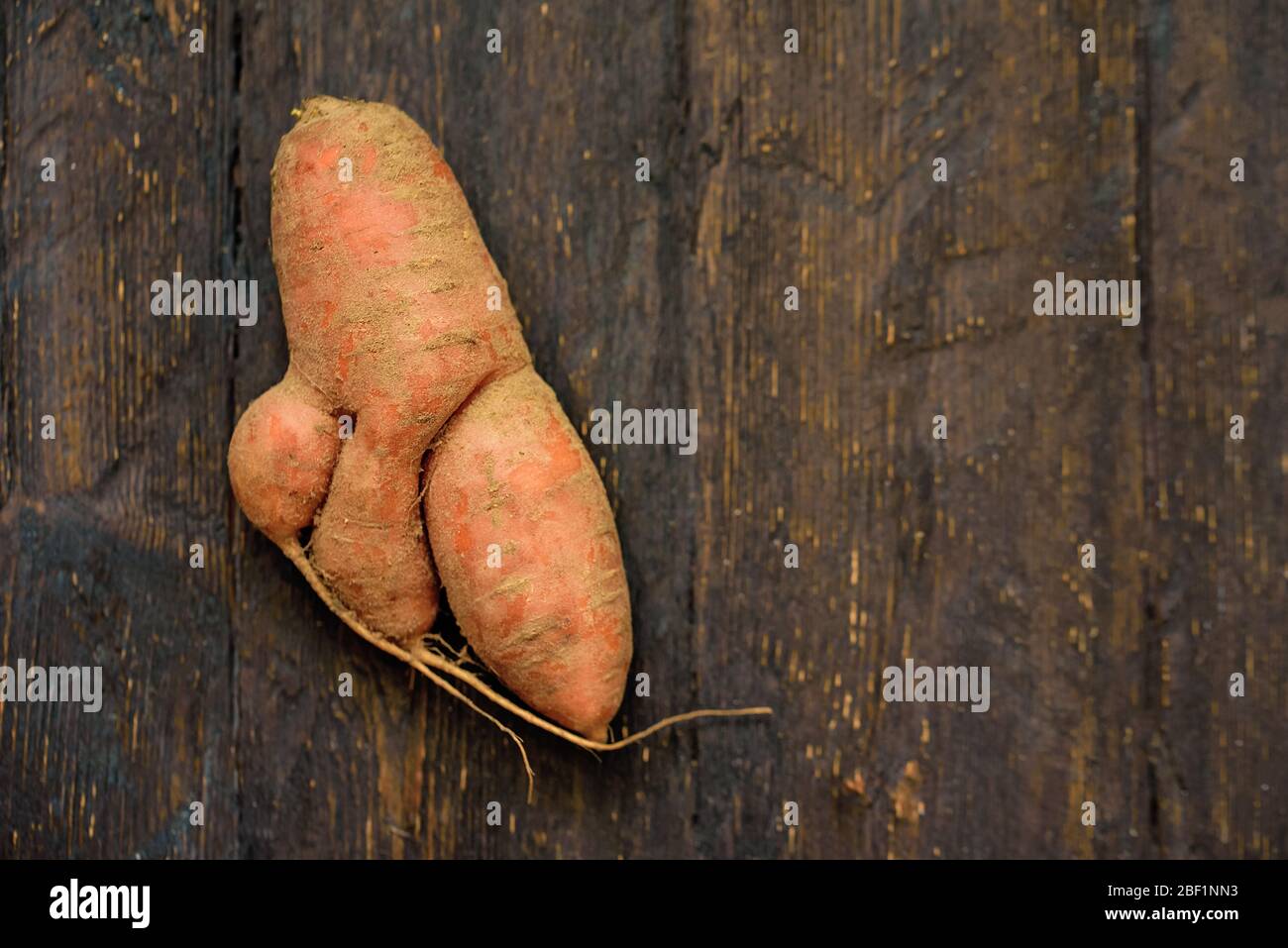 Ugly food. Deformed organic carrot on wooden background. Misshapen ...