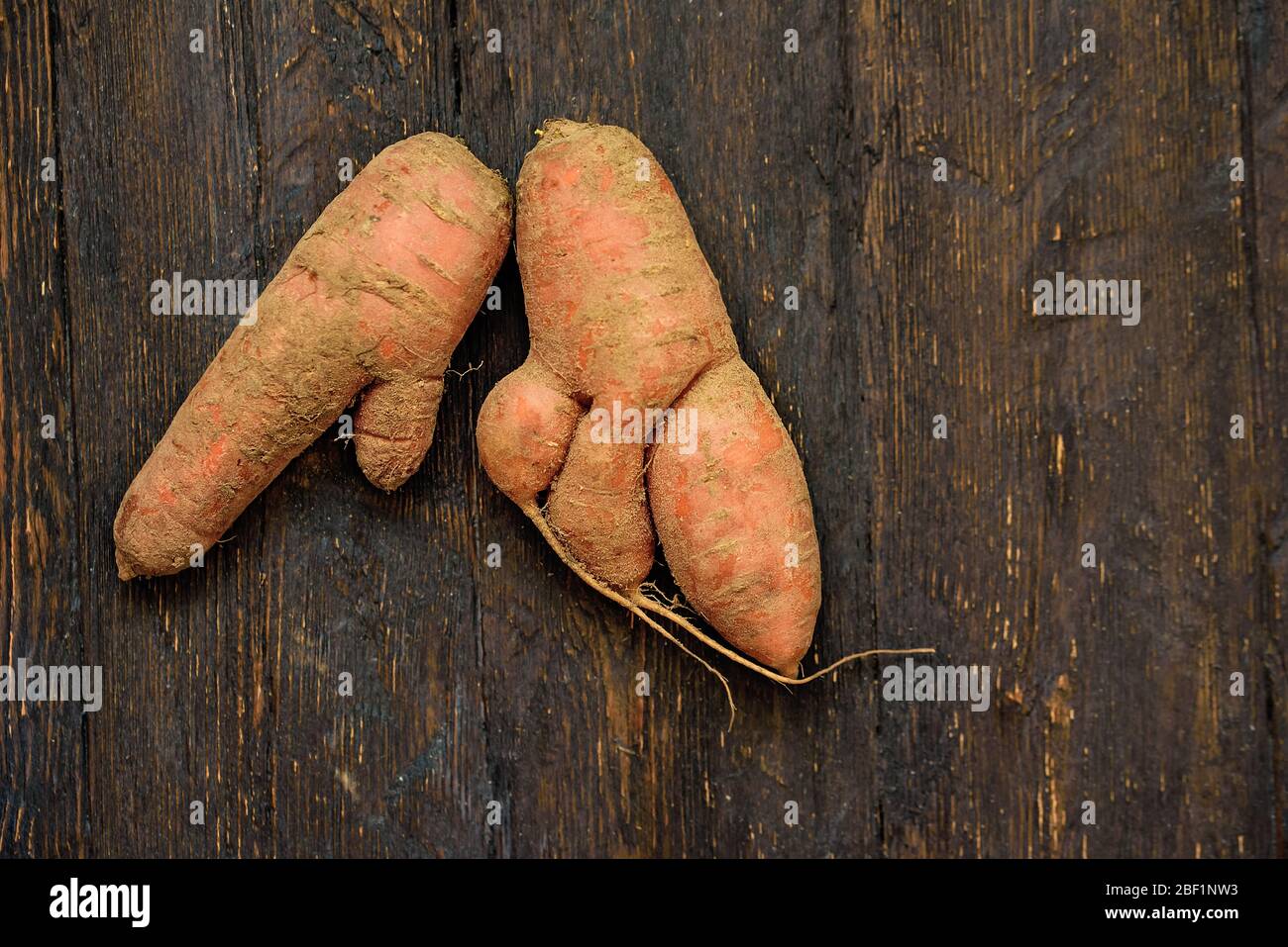 Ugly food. Deformed organic carrot on wooden background. Misshapen ...
