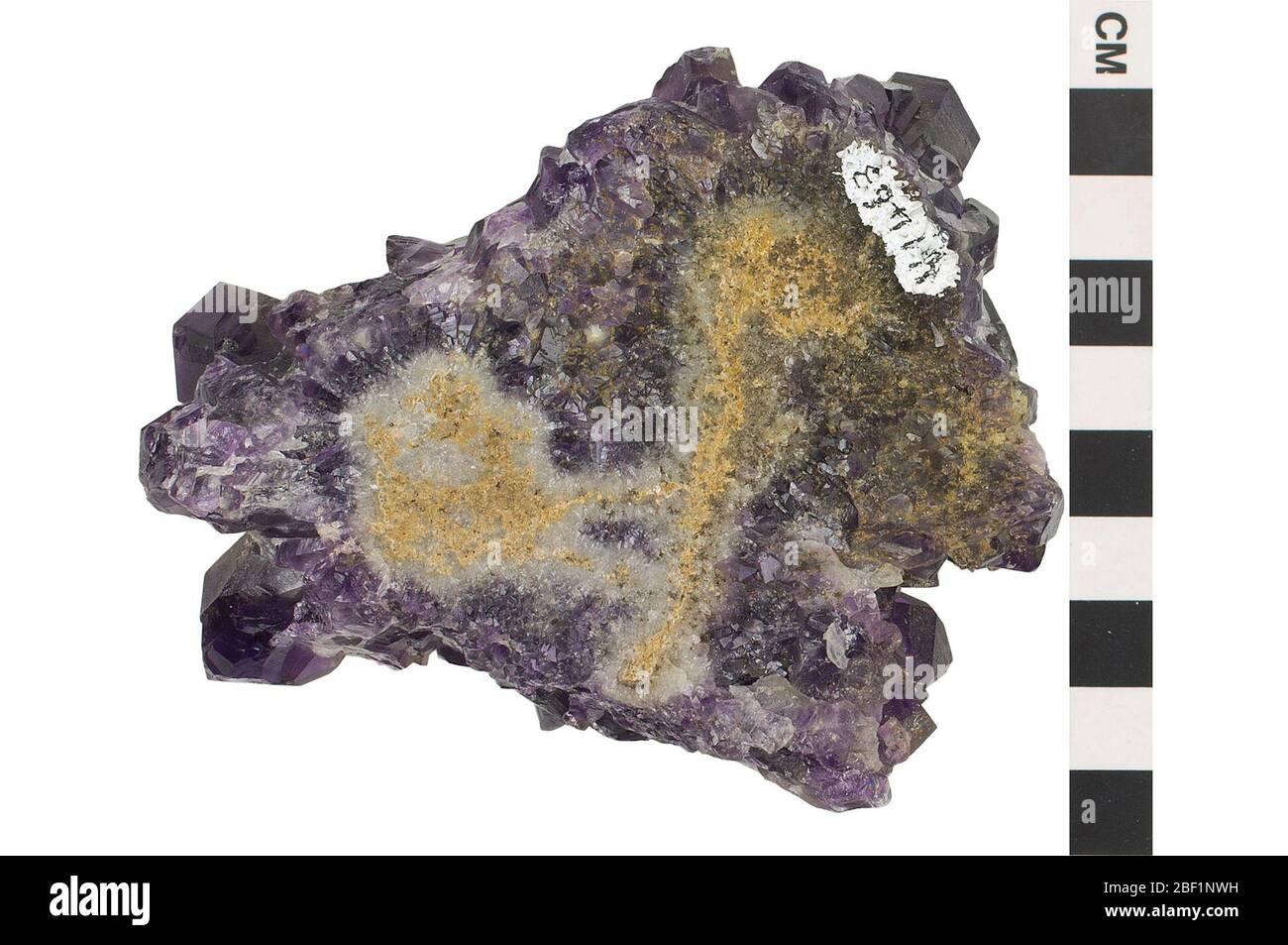 Value center Cut Out Stock Images & Pictures - Alamy