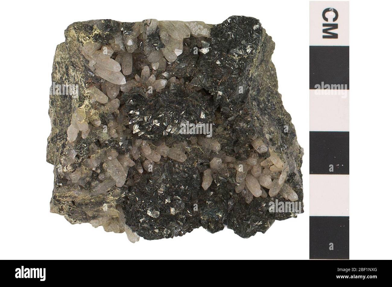 Tennantite Cut Out Stock Images & Pictures - Alamy