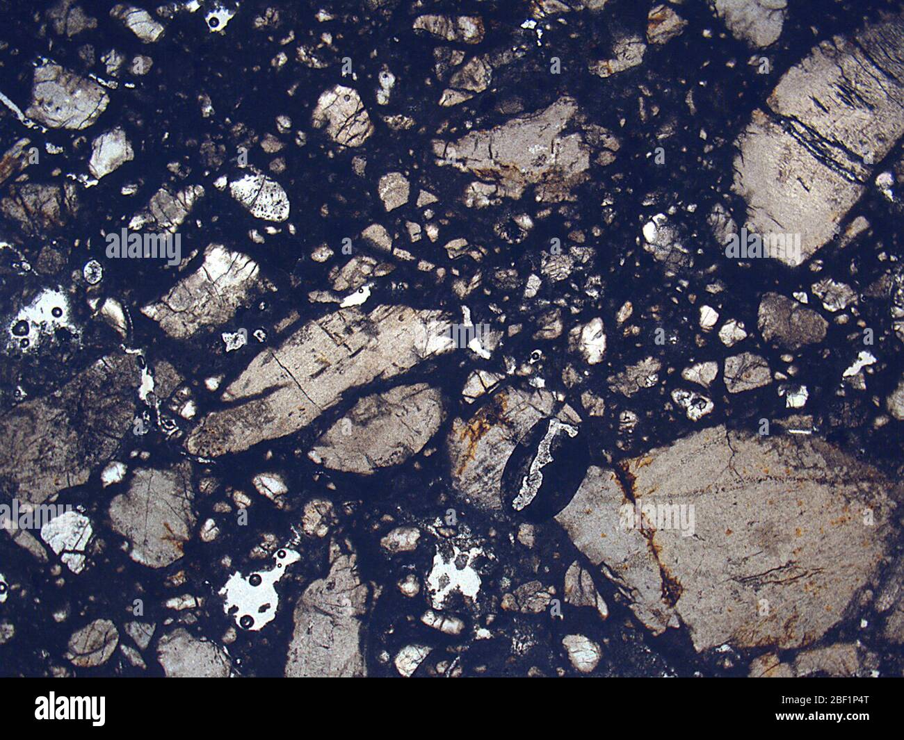 Mayo belwa hi-res stock photography and images - Alamy