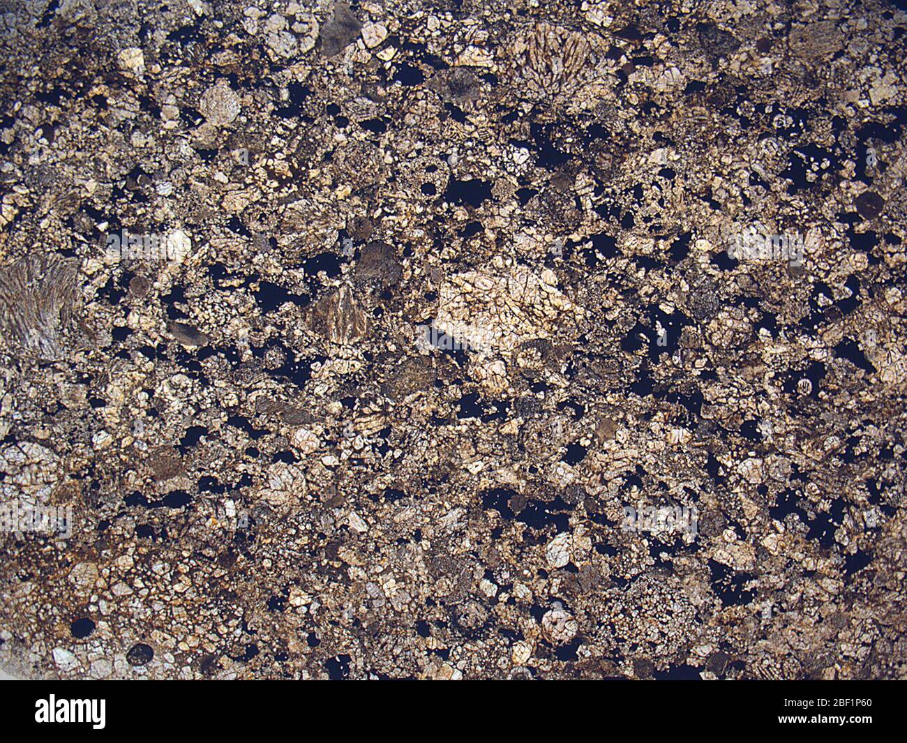 Marsland hi-res stock photography and images - Alamy