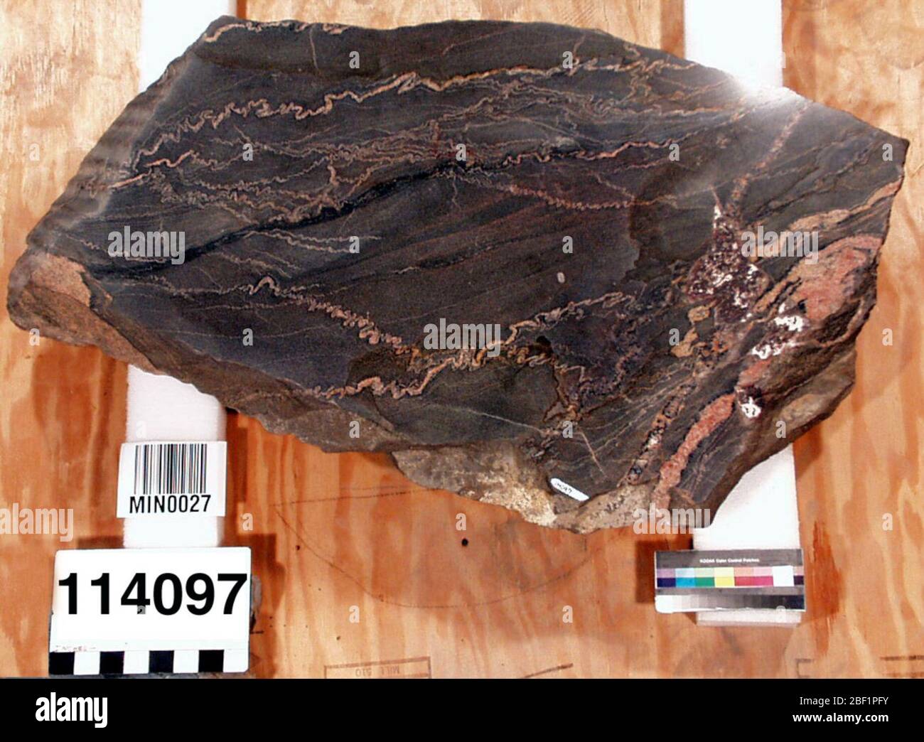 Migmatite hi-res stock photography and images - Alamy