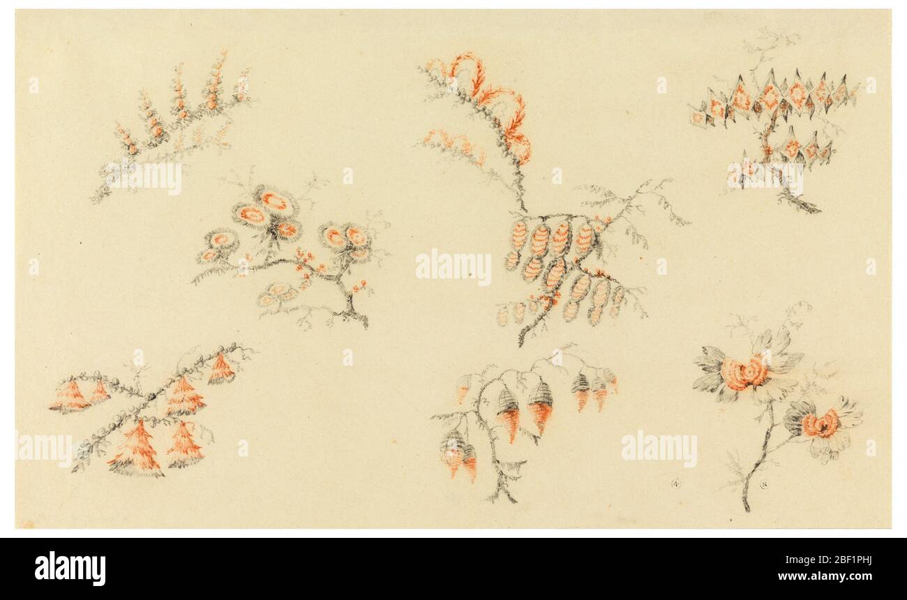 Naturalistic colors hi-res stock photography and images - Alamy