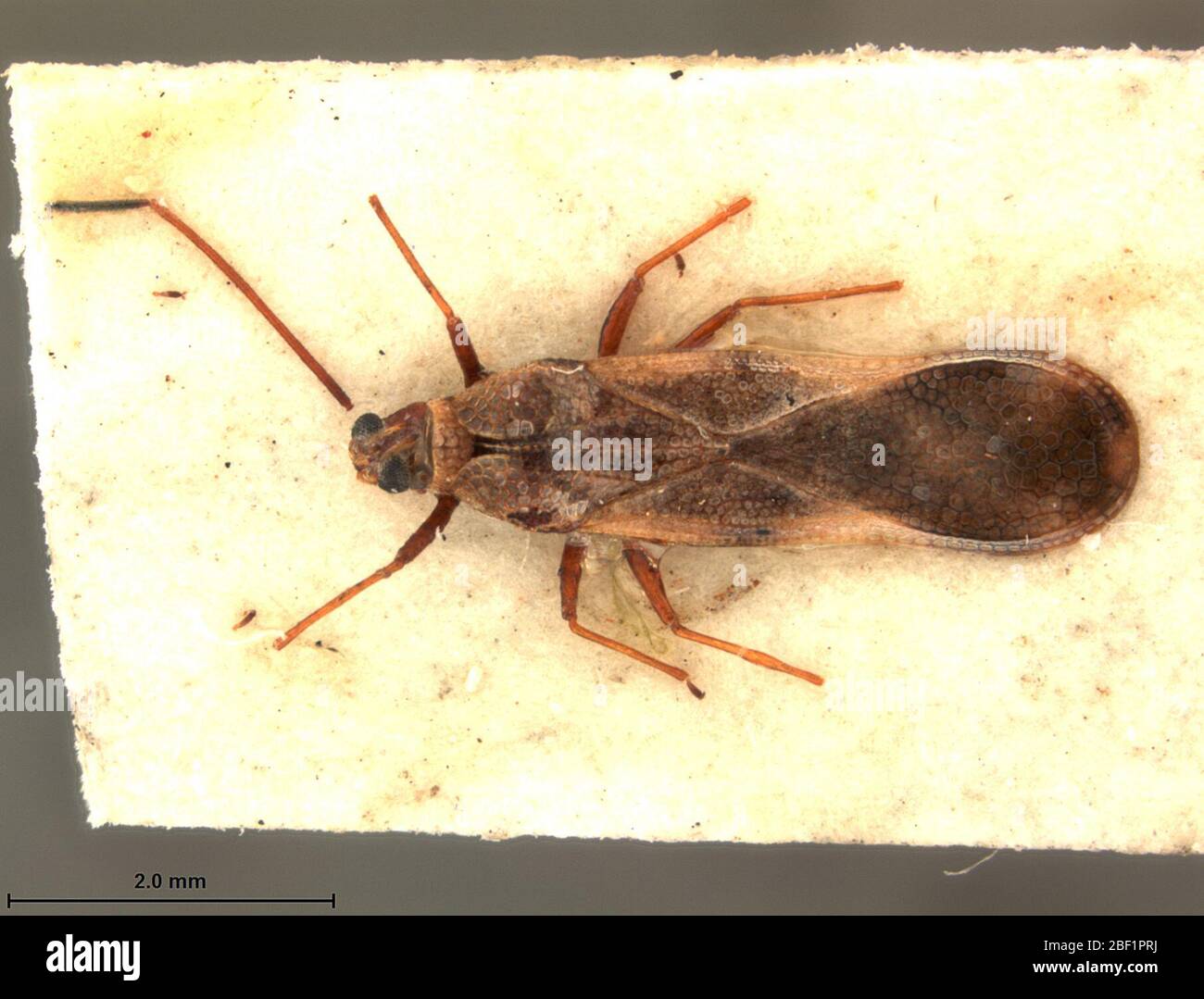 Symbol d hi-res stock photography and images - Alamy