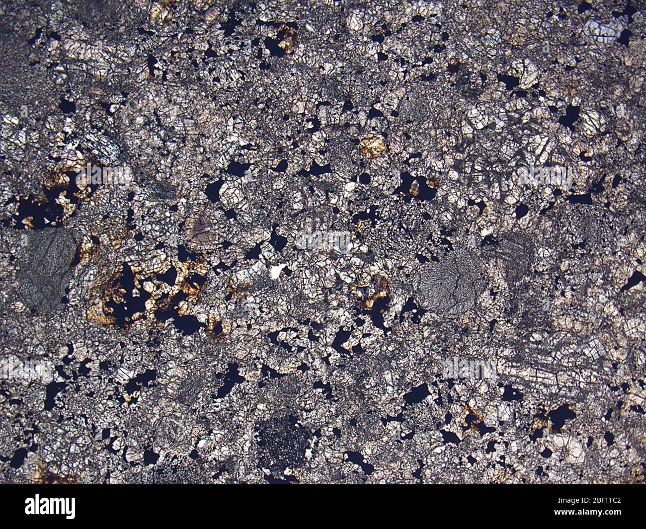 Nejo hi-res stock photography and images - Alamy