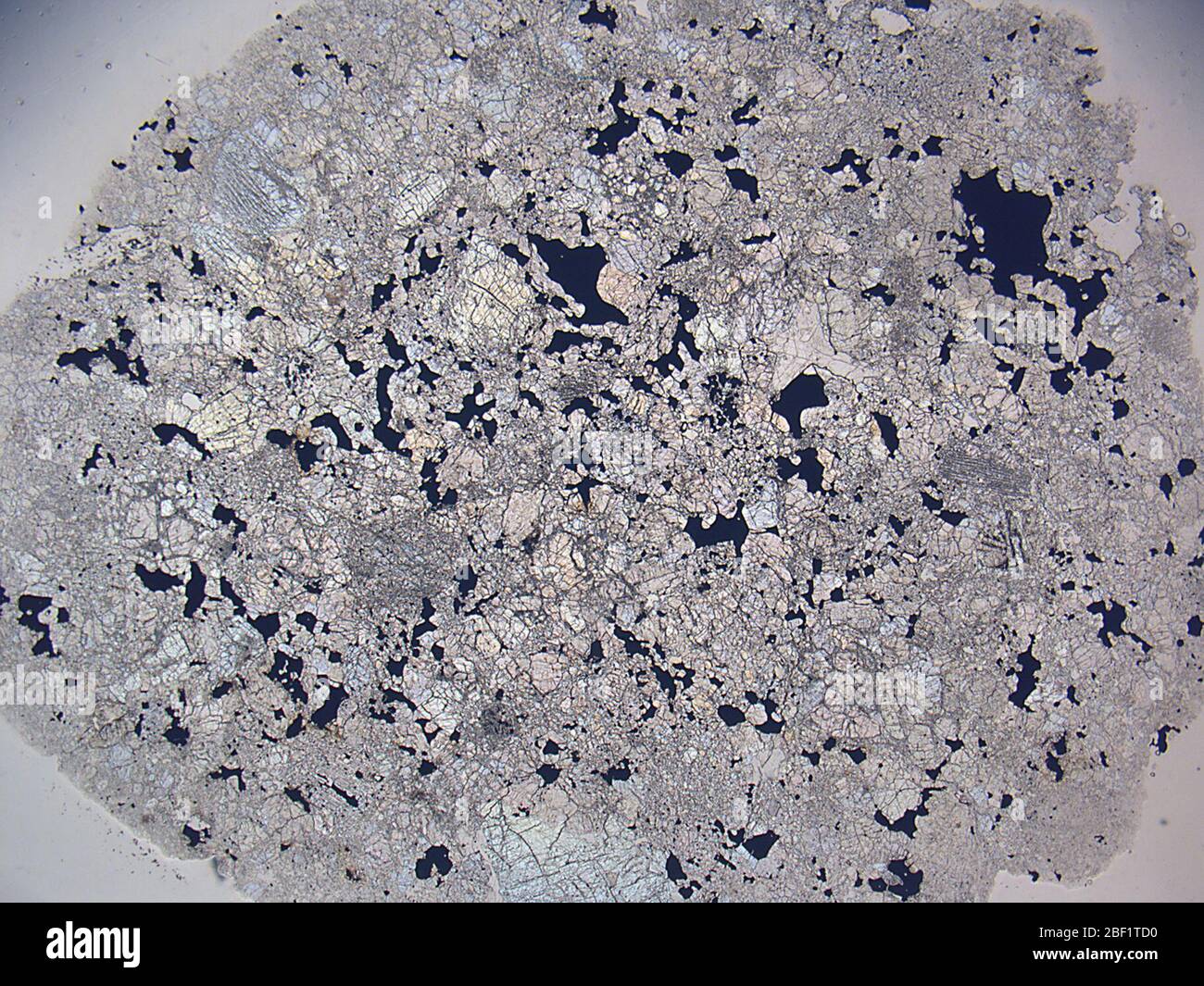 New concord hi-res stock photography and images - Alamy