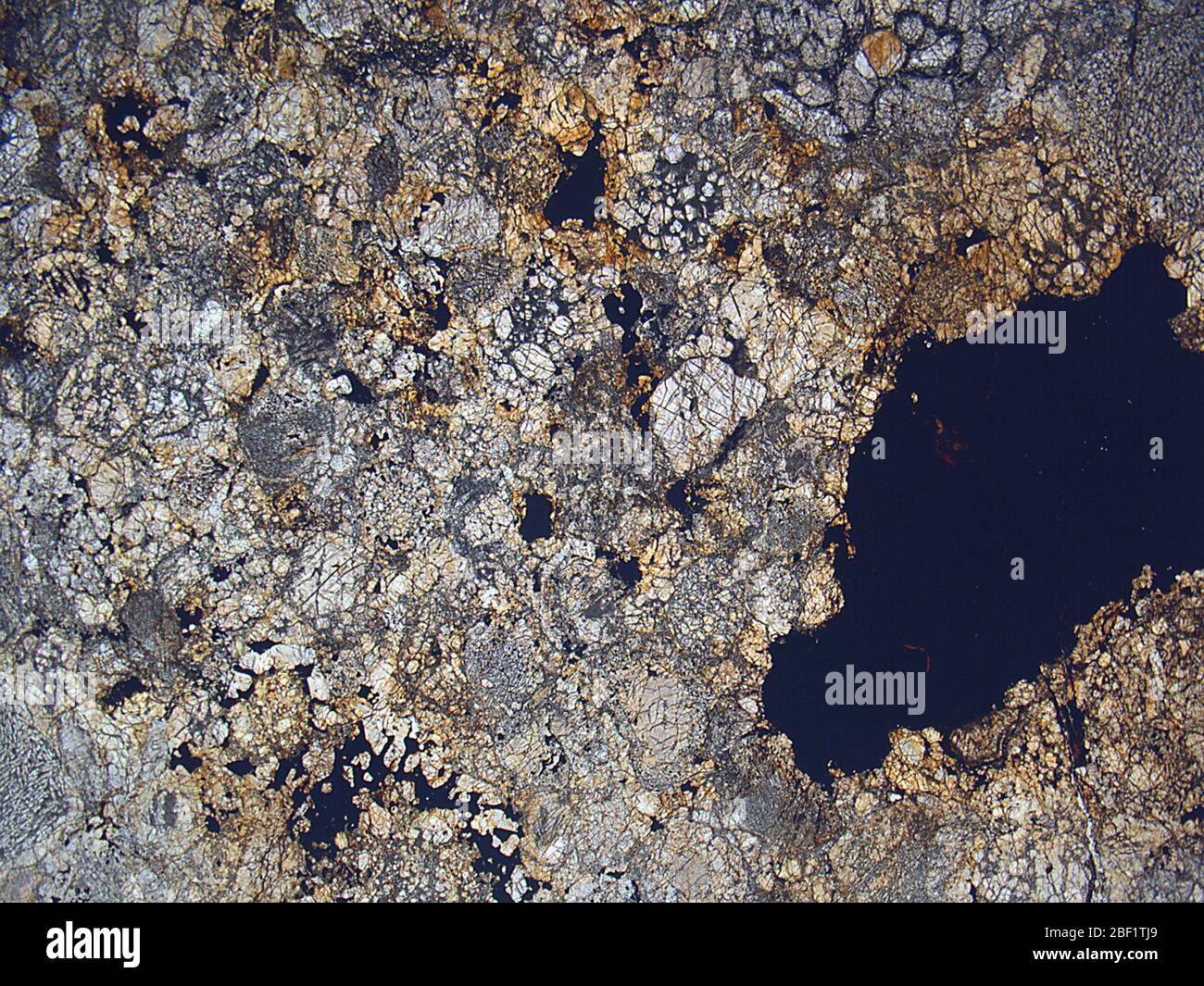 Oberlin college history hi-res stock photography and images - Alamy