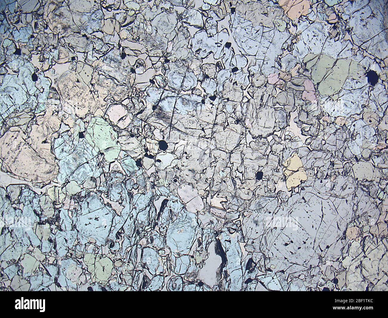 Nwa hi-res stock photography and images - Alamy