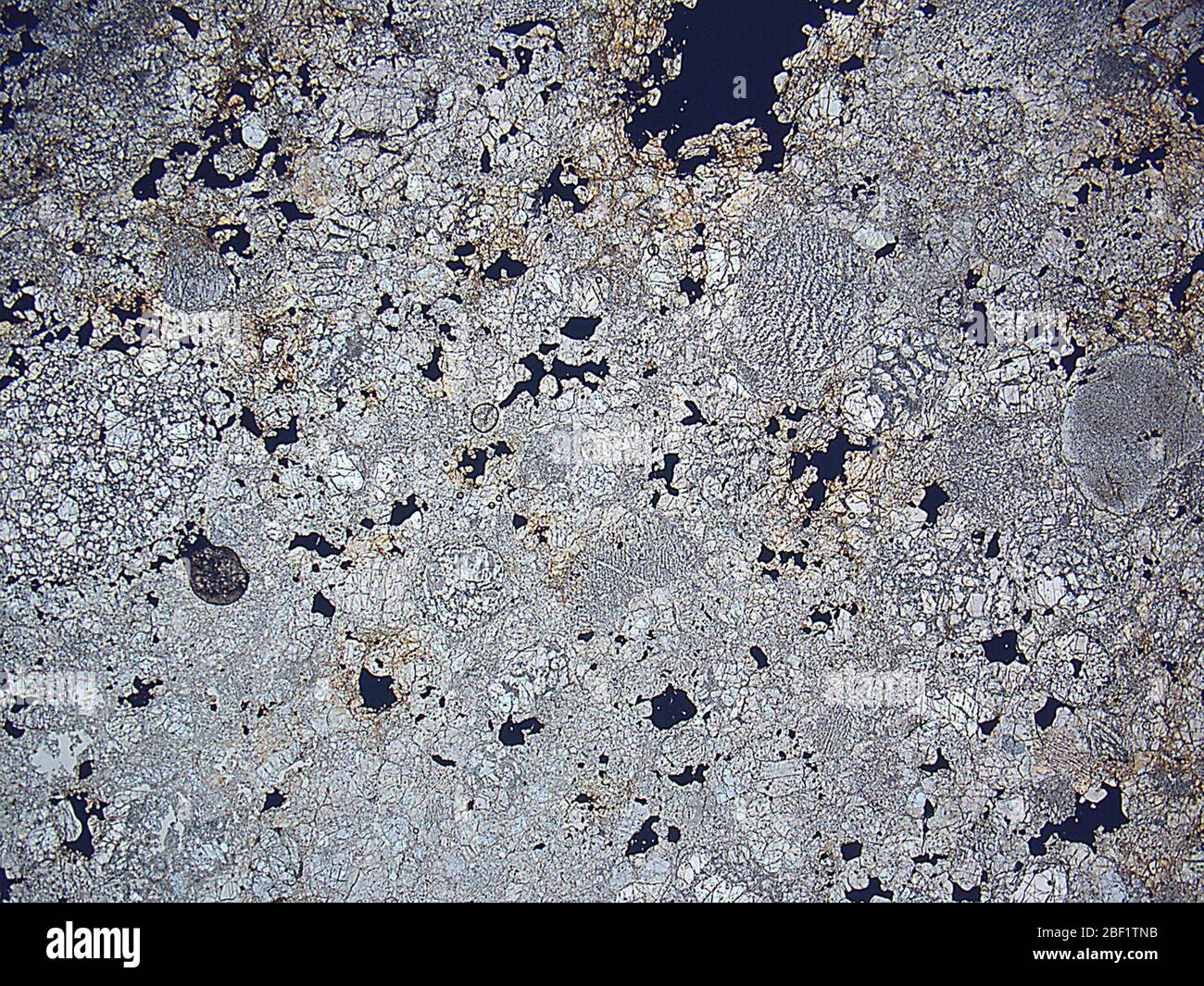 Pacula hi-res stock photography and images - Alamy