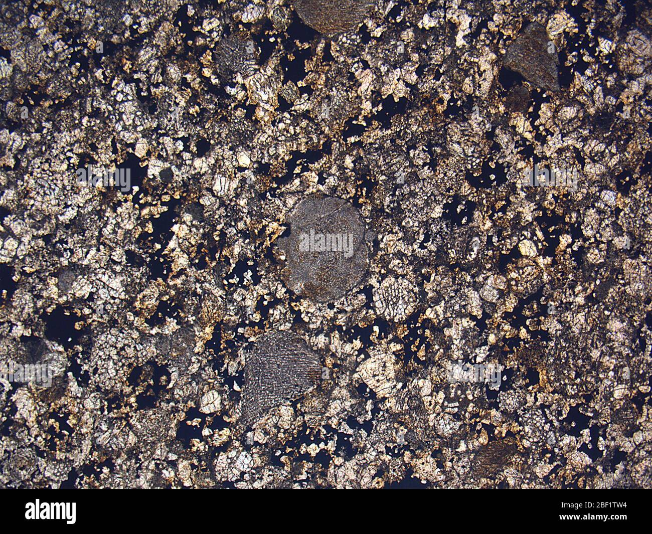 Pribram hi-res stock photography and images - Alamy