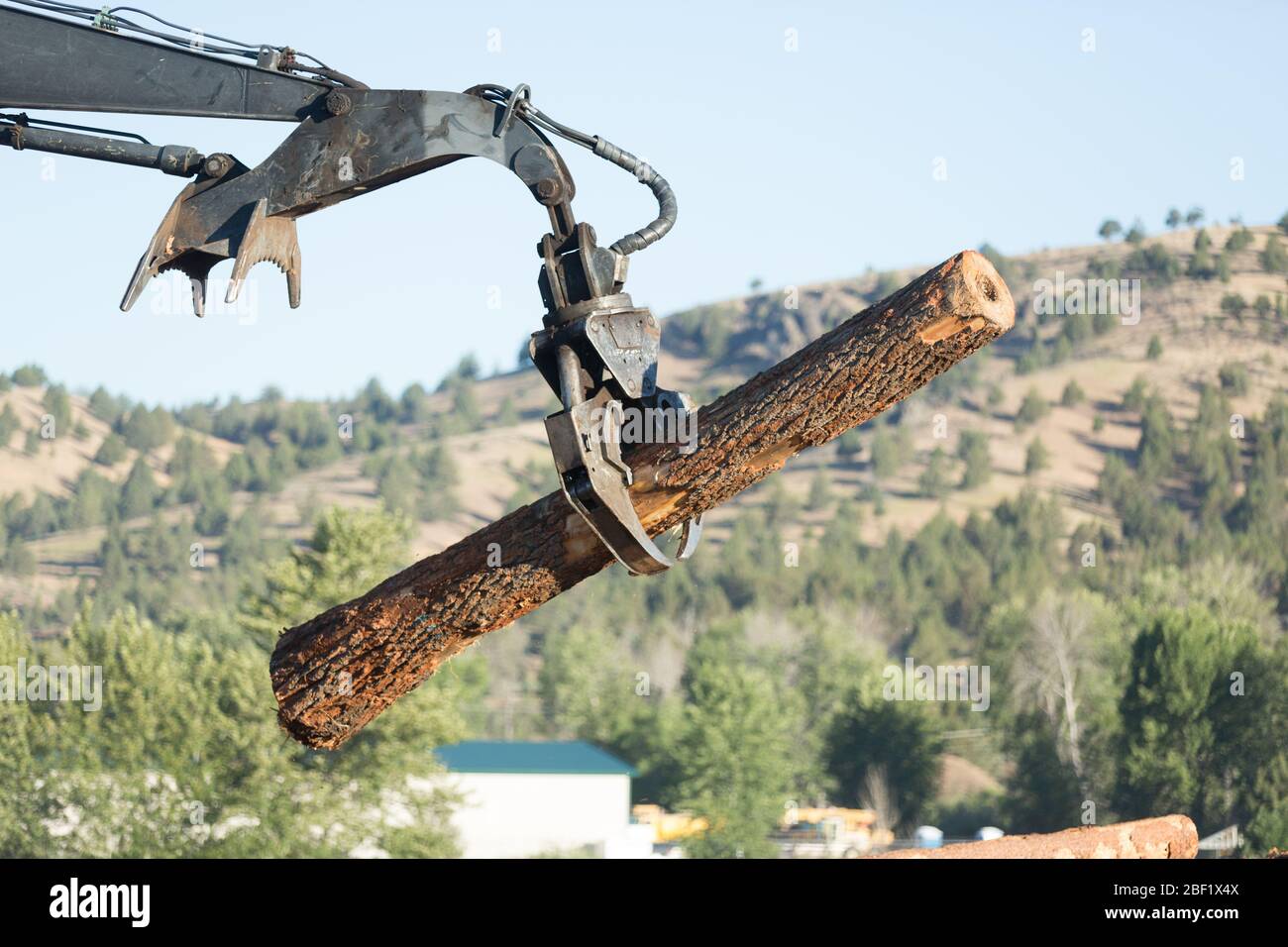 Log milling hi-res stock photography and images - Alamy
