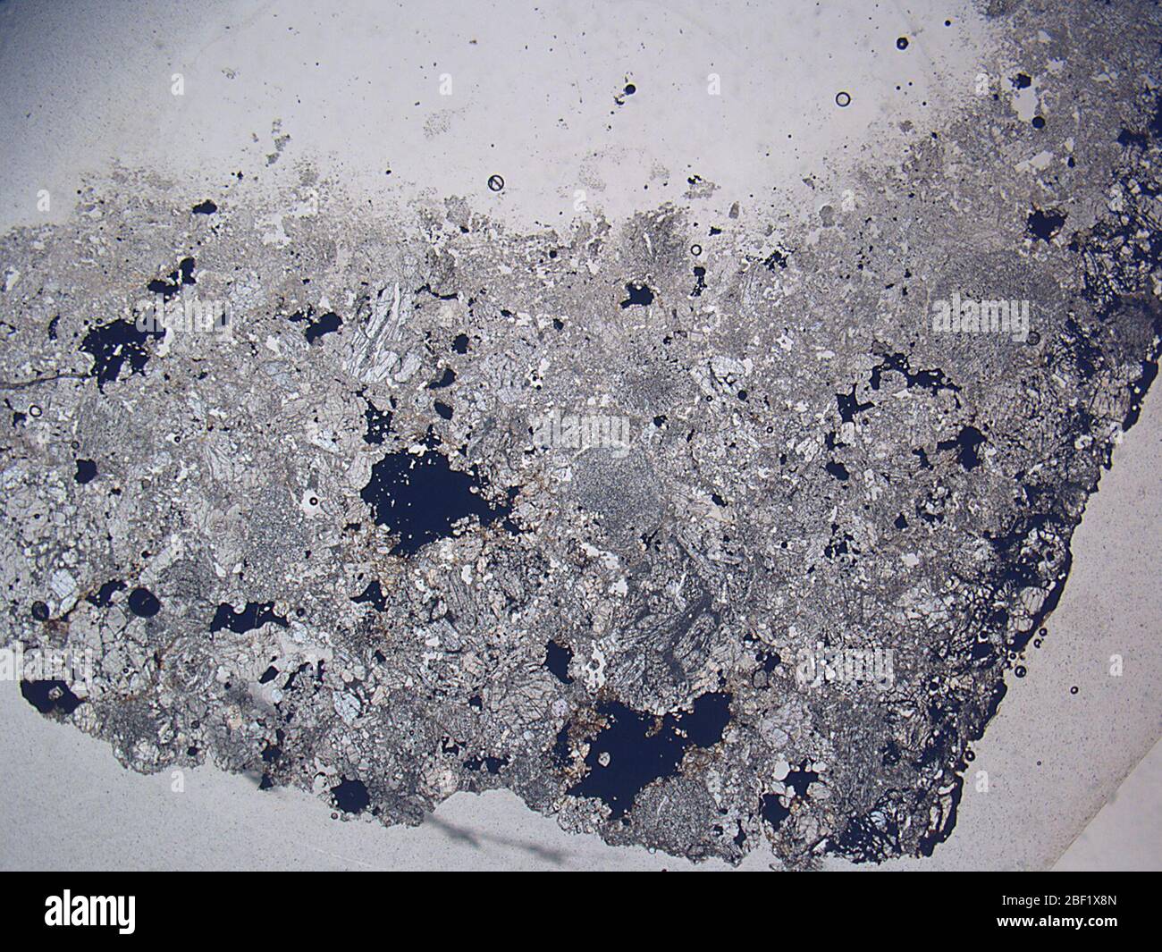 Renca hi-res stock photography and images - Alamy