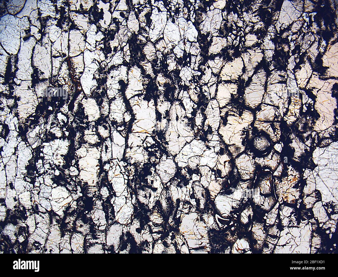 Kenna hi-res stock photography and images - Alamy