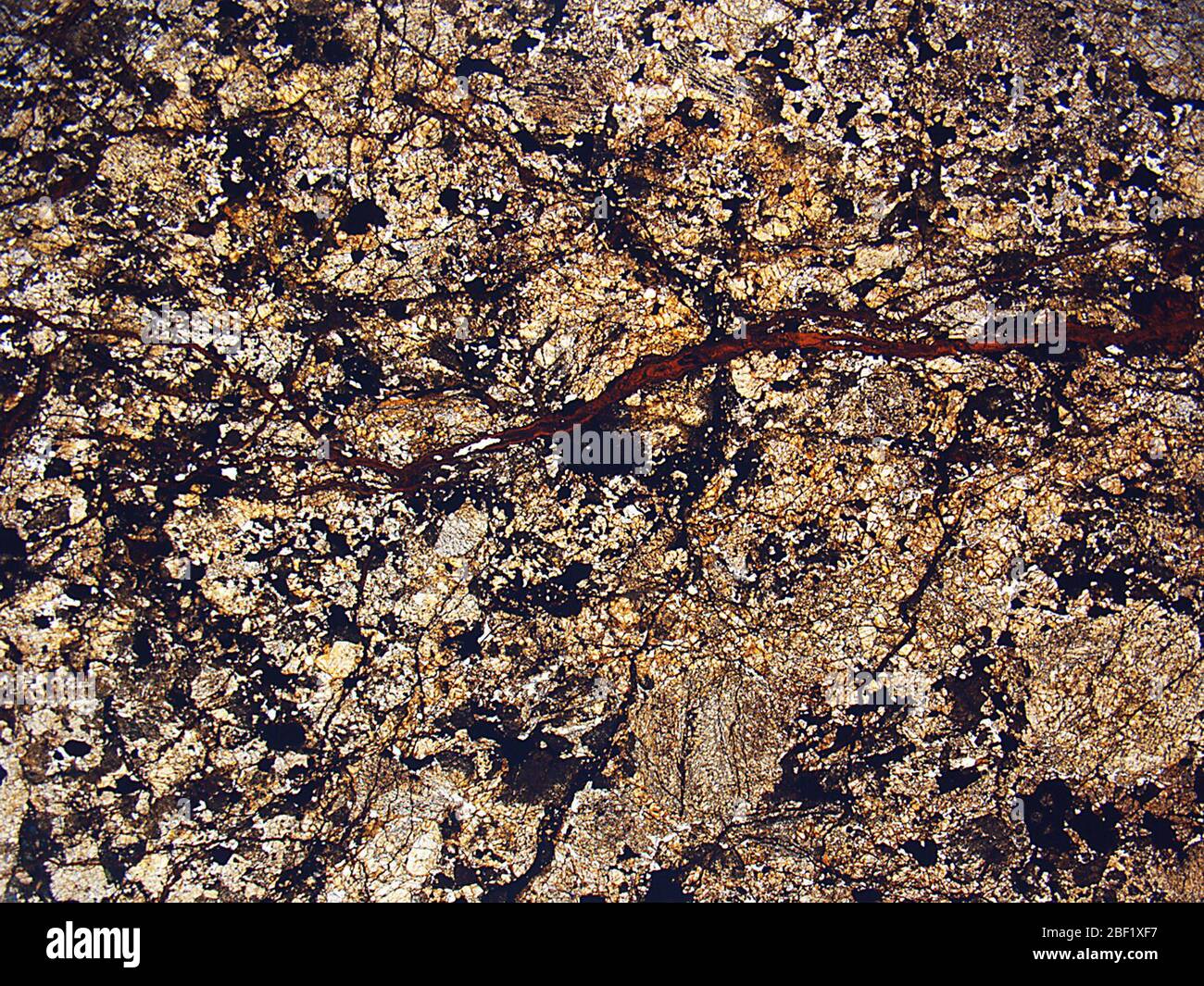 Francis bay hi-res stock photography and images - Alamy