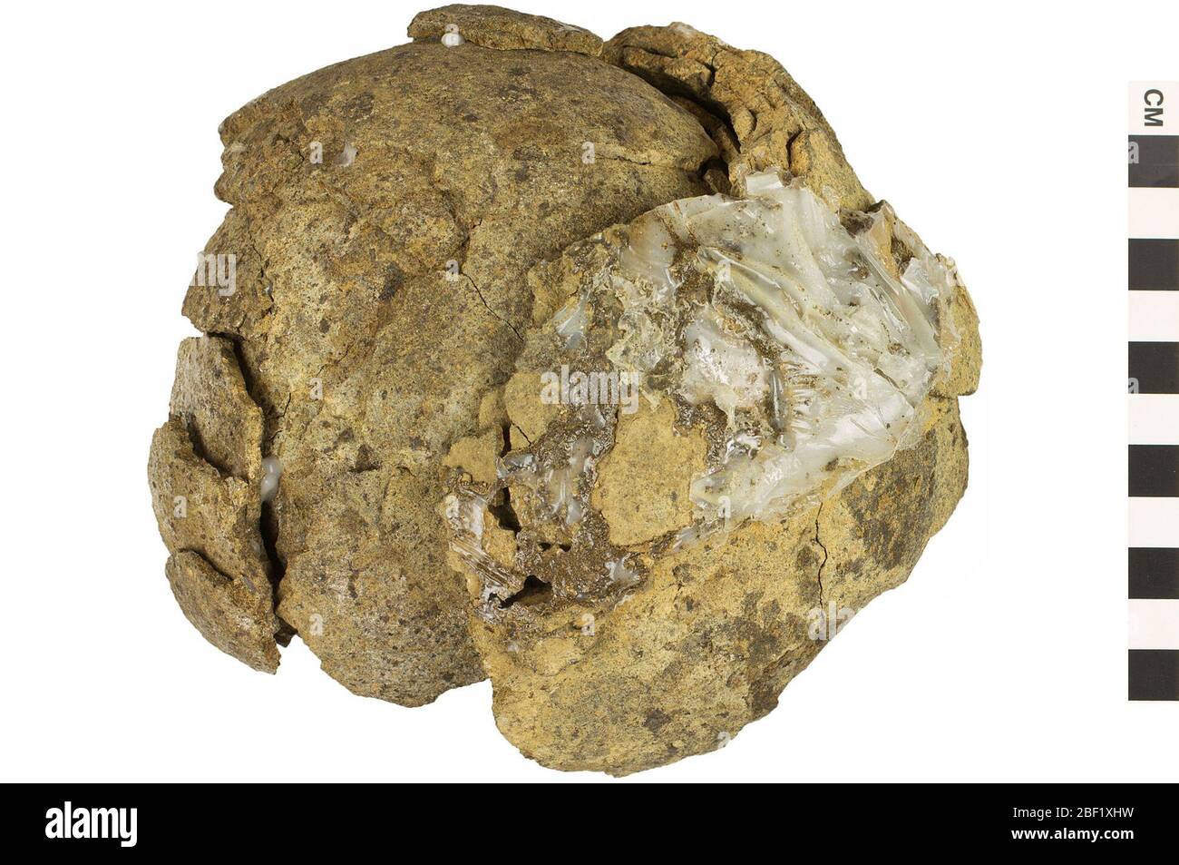 Igneous Rocks Diabase