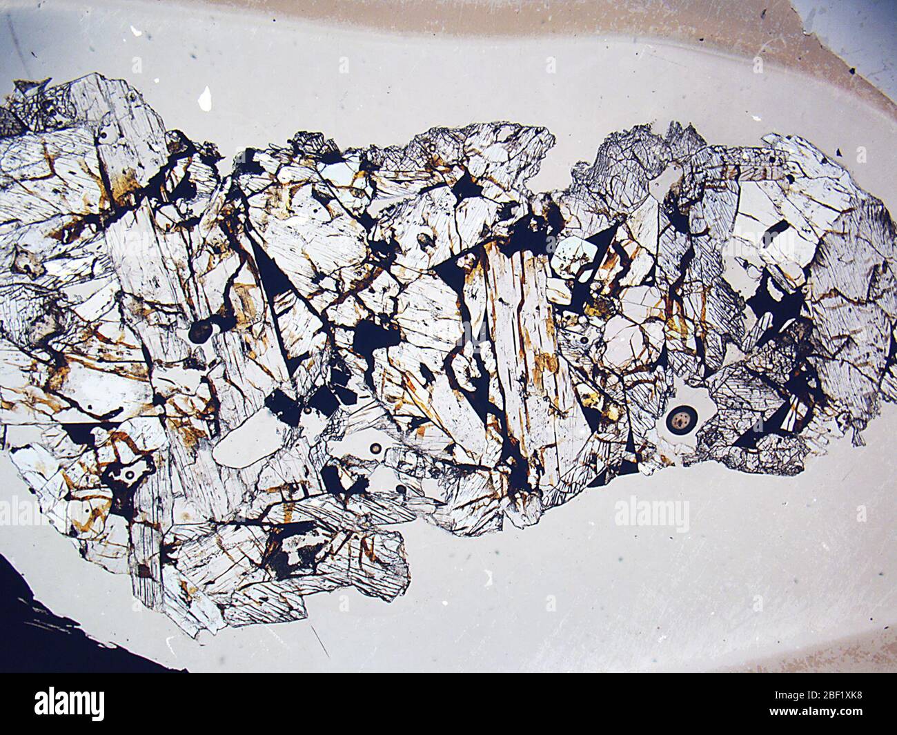 Shallowater hi-res stock photography and images - Alamy