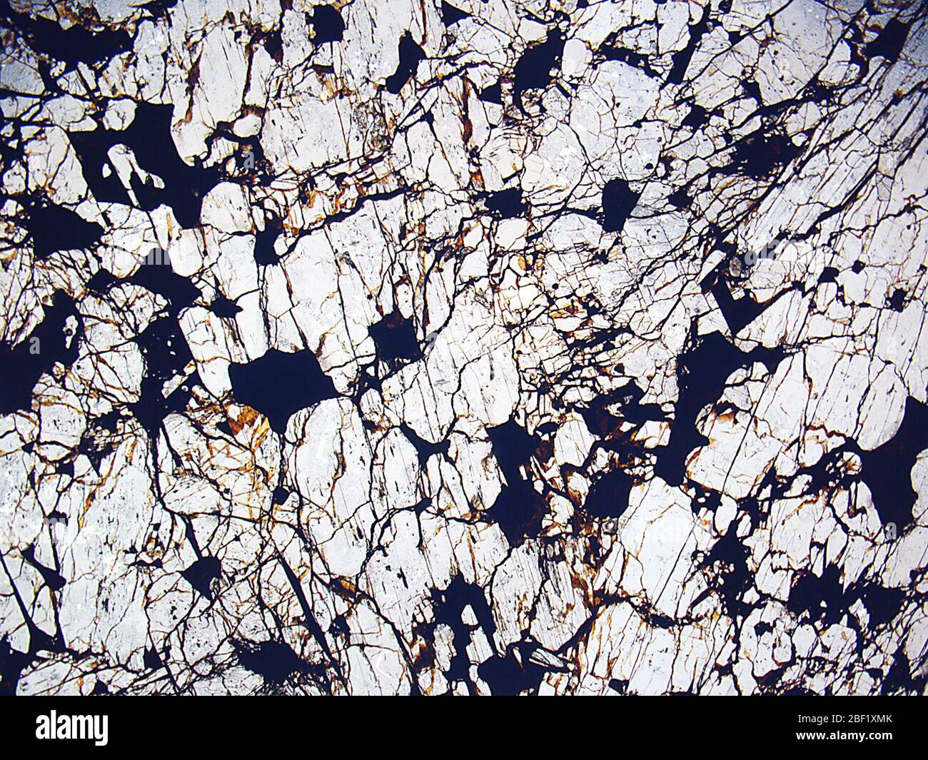 Shallowater hi-res stock photography and images - Alamy