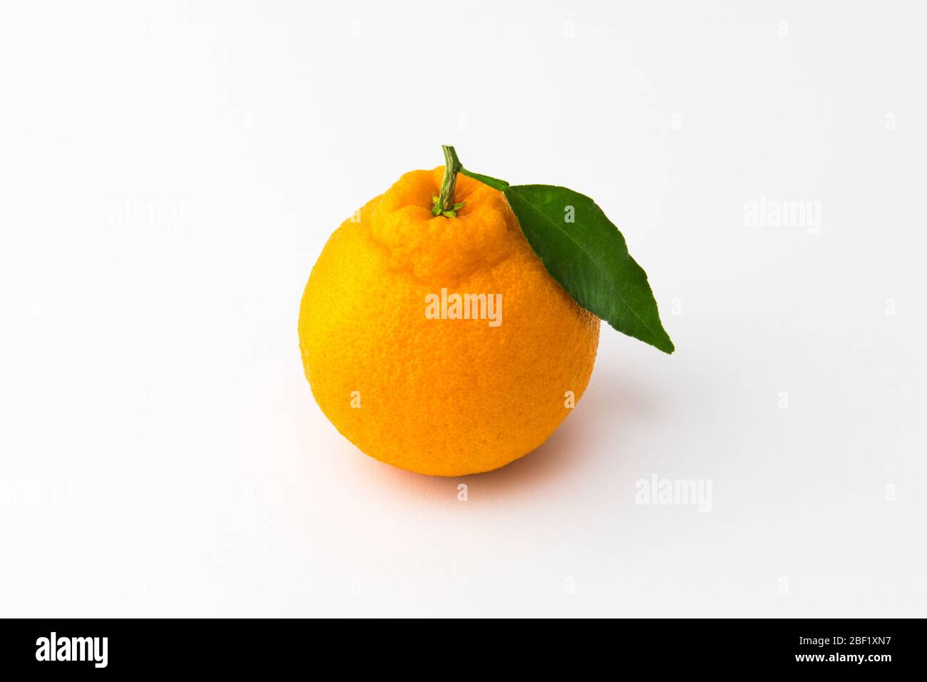 Orange Hallabong on a white background. One fruit seen from above ...