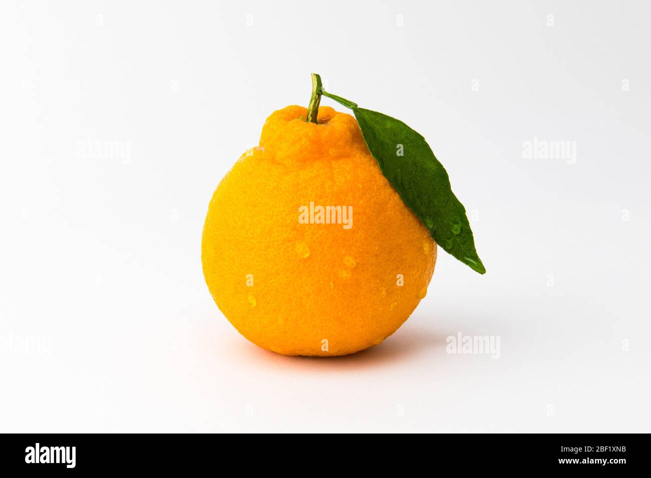 Fresh orange Hallabong on a white background. One fruit seen from the ...