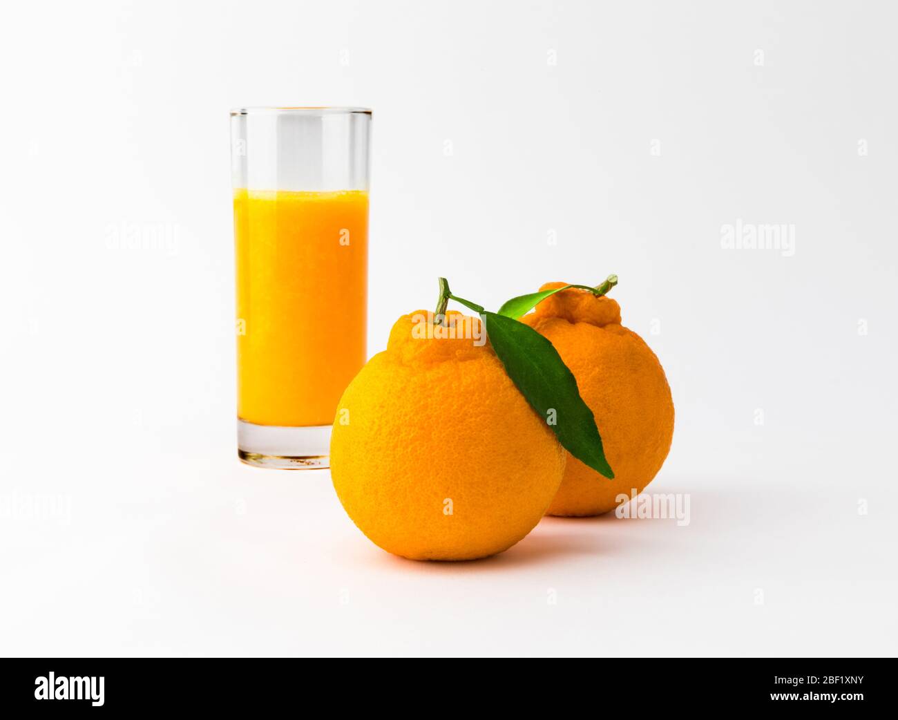 Orange Cup and Orange Hallabong. (Korea, Jeju Island specialties Stock ...