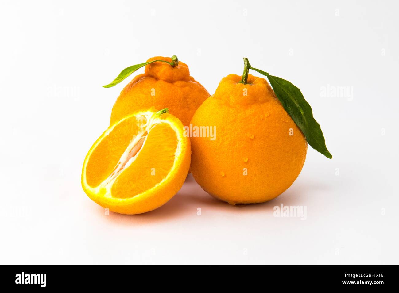 Cross section with fresh orange Hallabong on white background. Fruit ...