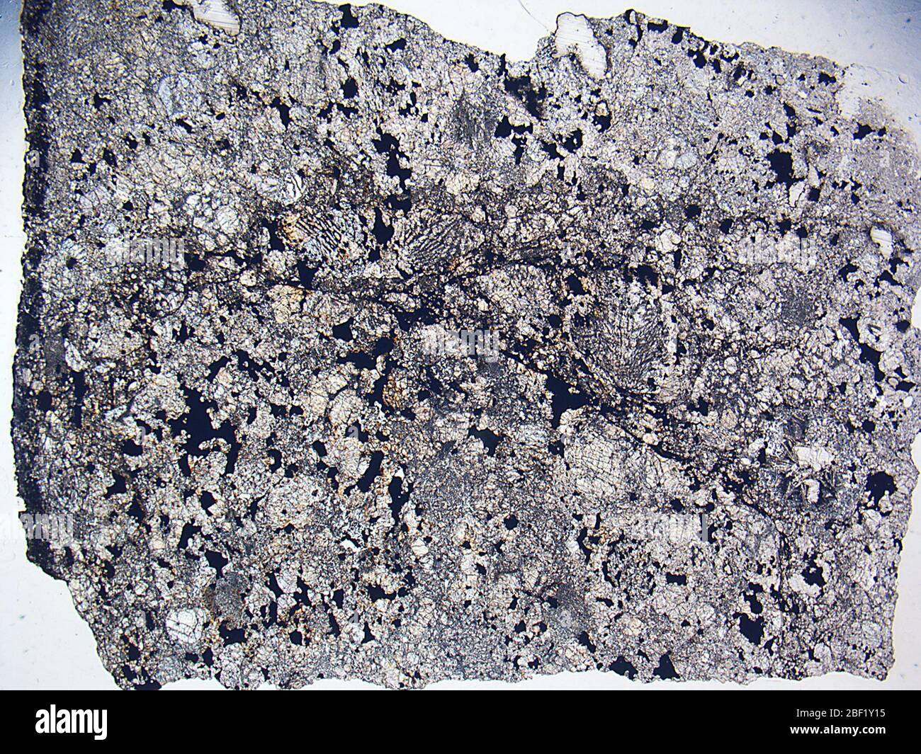 Suchy hi-res stock photography and images - Alamy