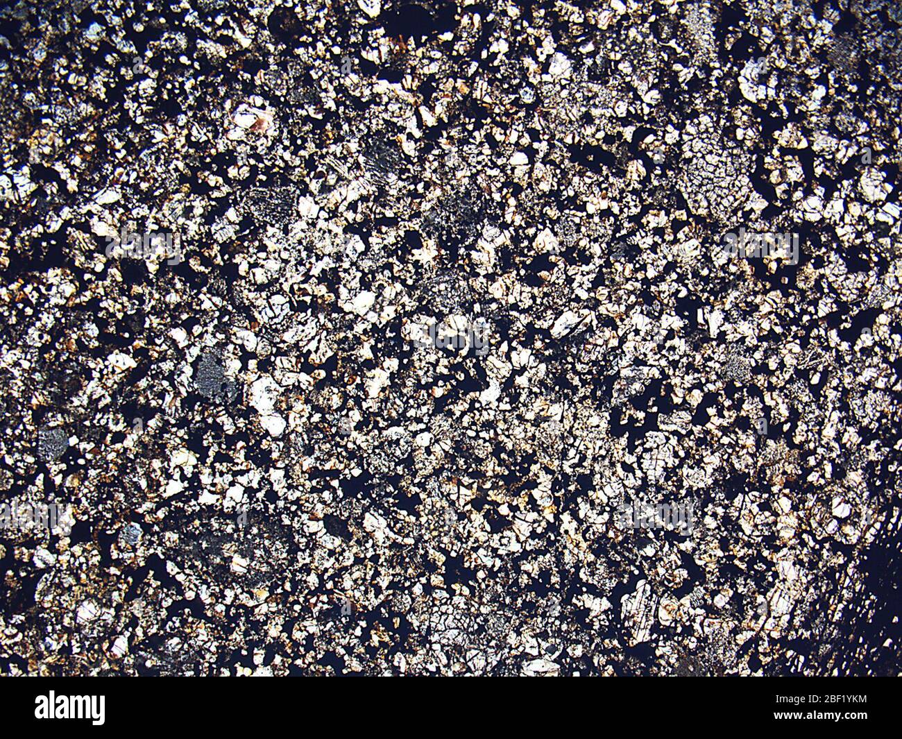 Wayside nature hi-res stock photography and images - Alamy