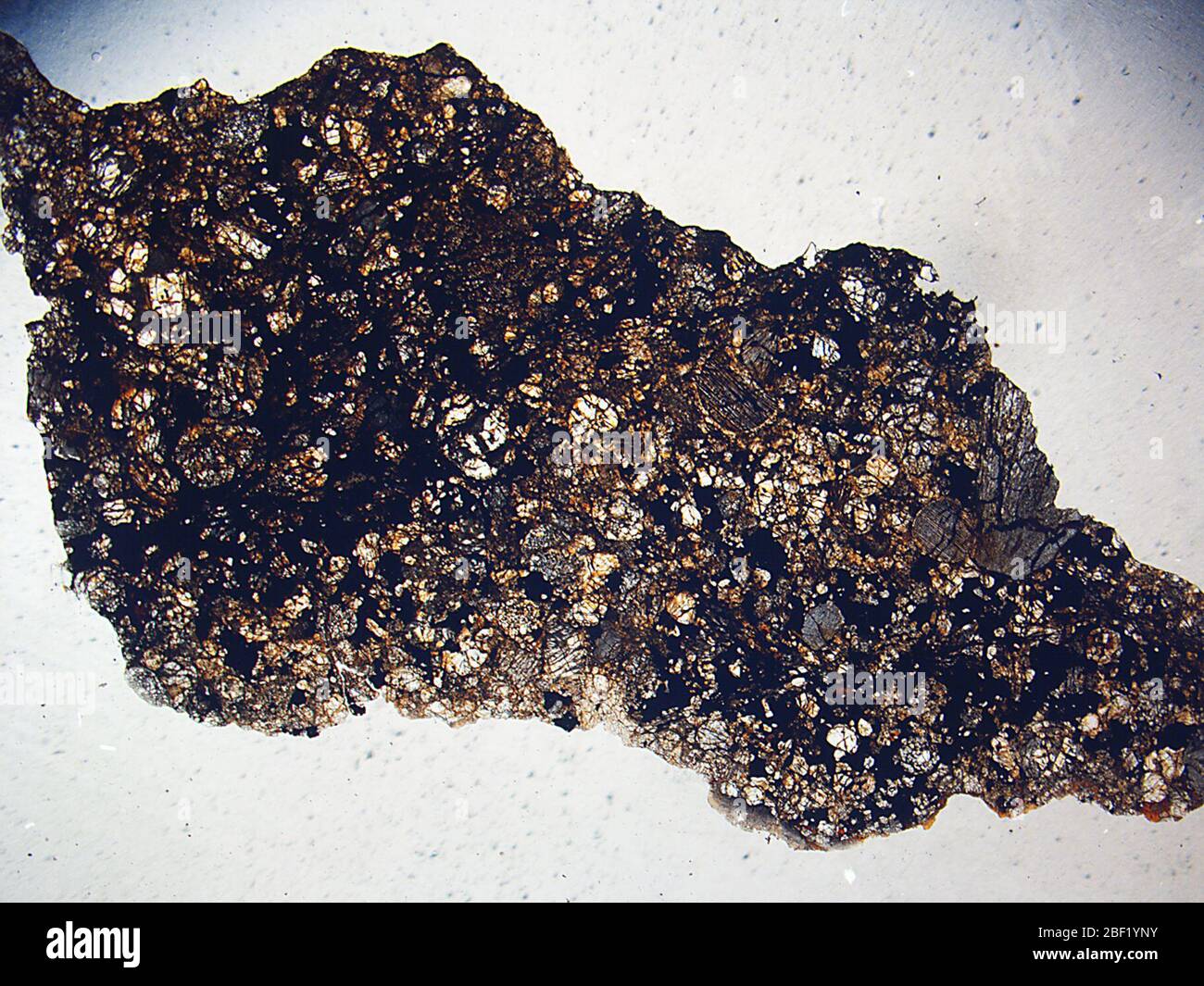 Wingellina. 31 May 201920774561 Stock Photo - Alamy