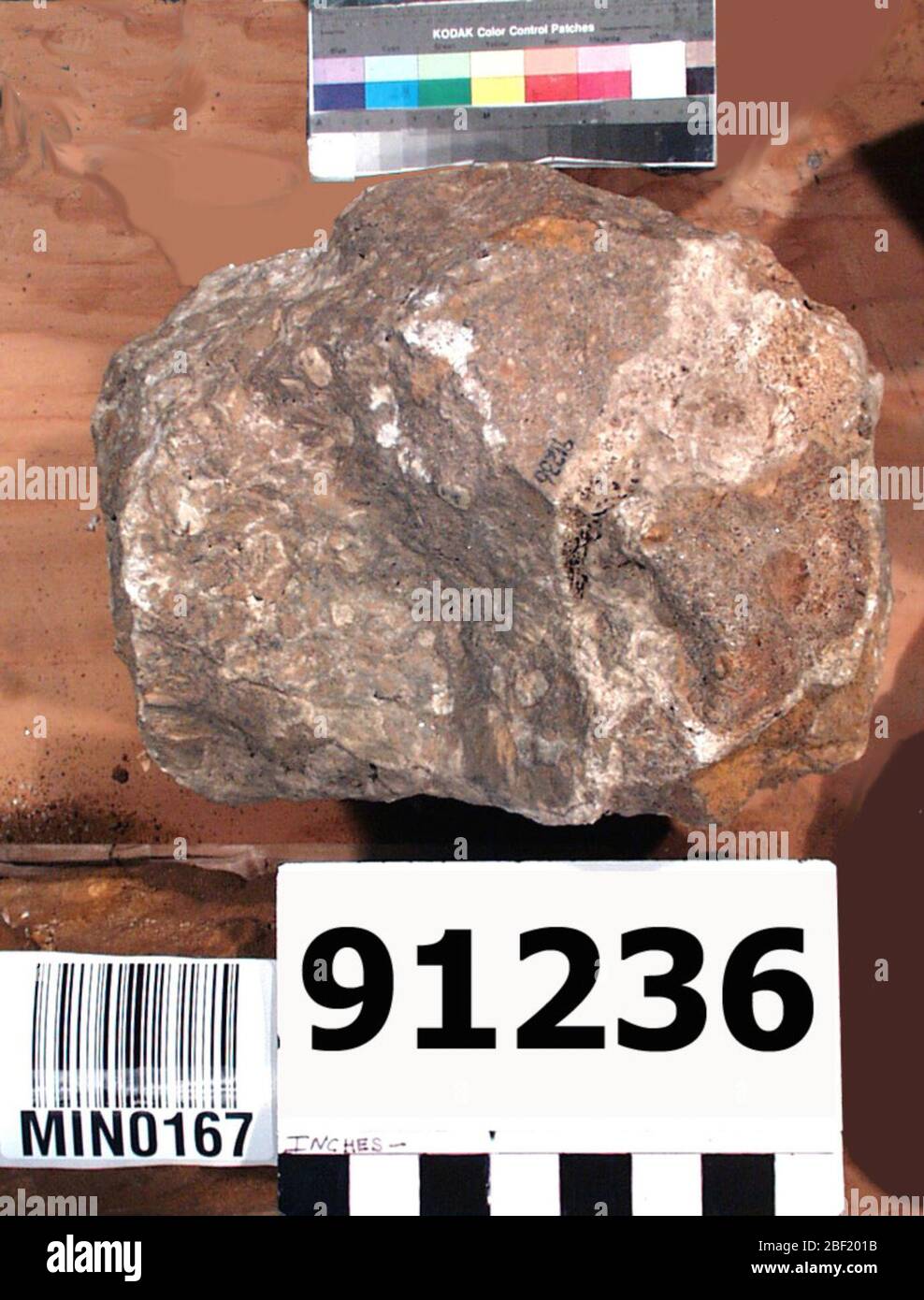 Tungsten ore hi-res stock photography and images - Alamy