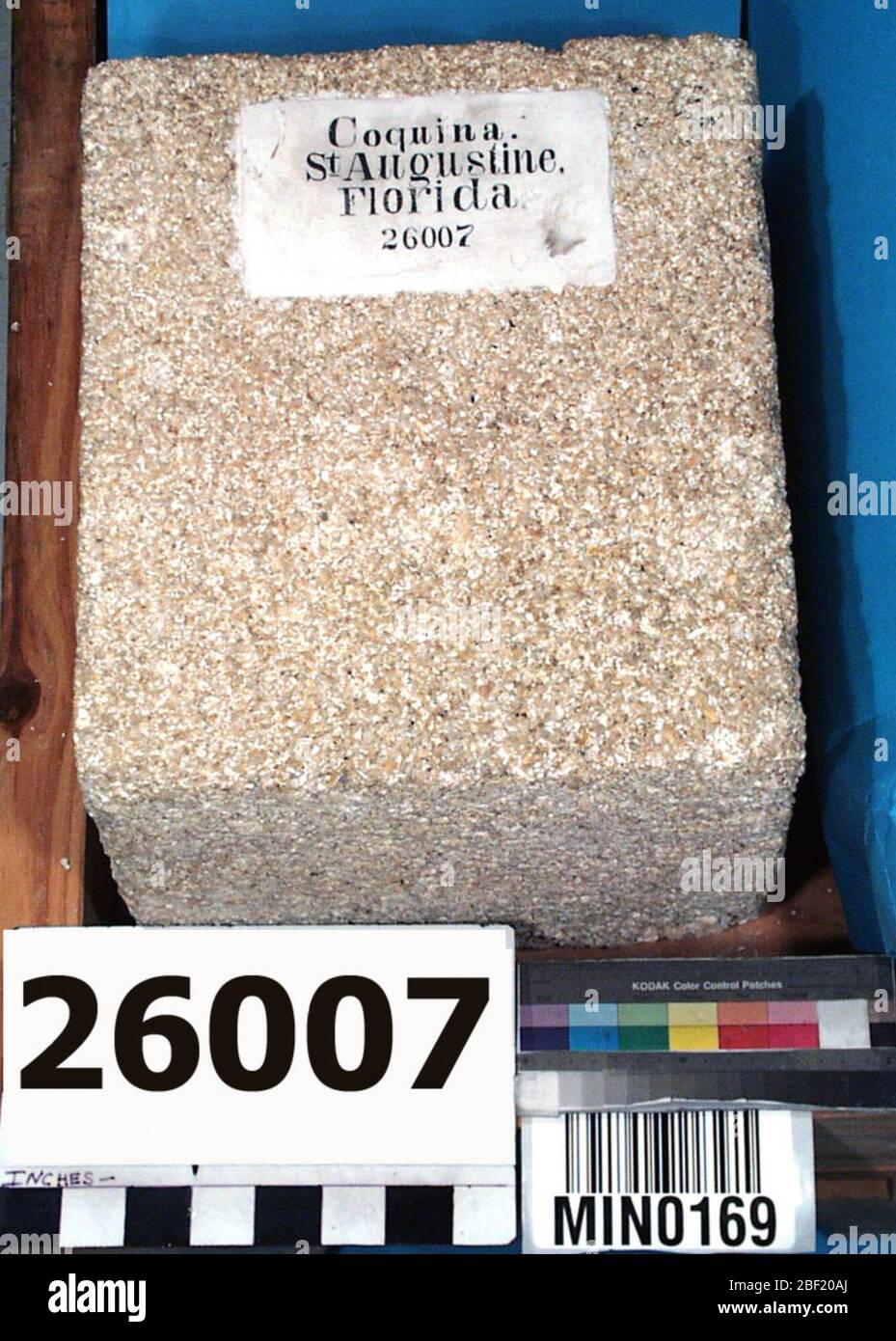 Coquina rock formation hi-res stock photography and images - Alamy