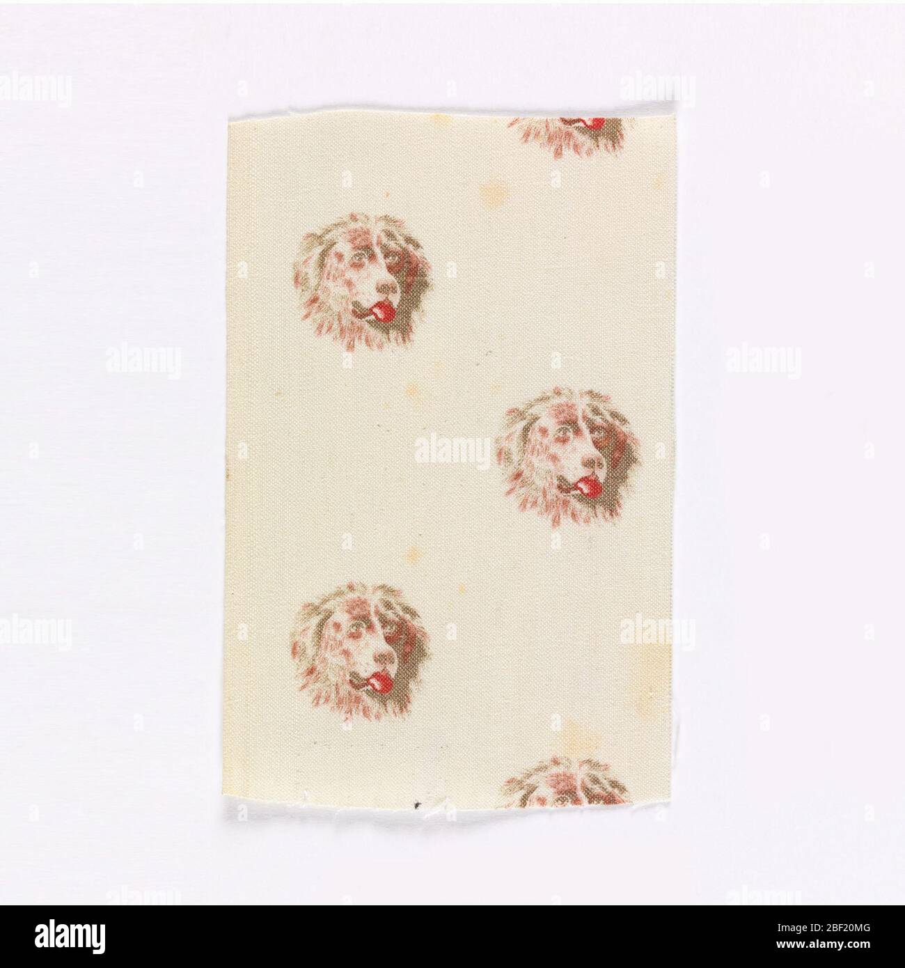 Protruding tongue hi-res stock photography and images - Alamy