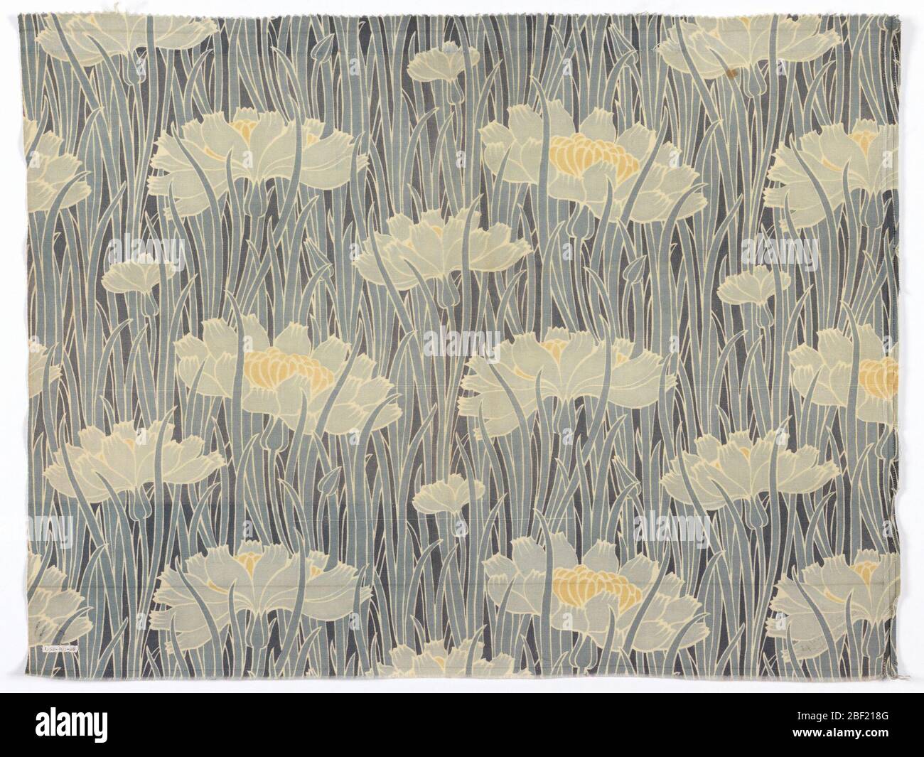 Viper Grass. Tall blue grasses outlined in white interspersed with ...