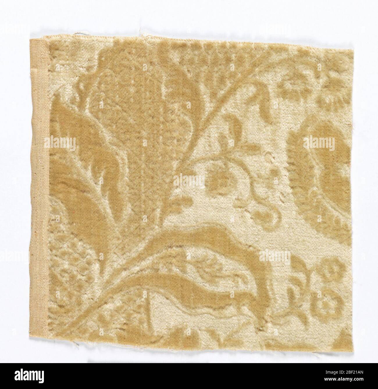 Fragment. Fragment of cream-colored velvet with a stamped design of a ...