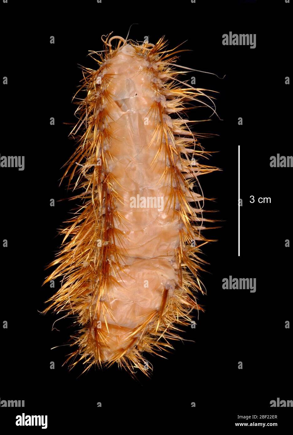 Producta hi-res stock photography and images - Alamy