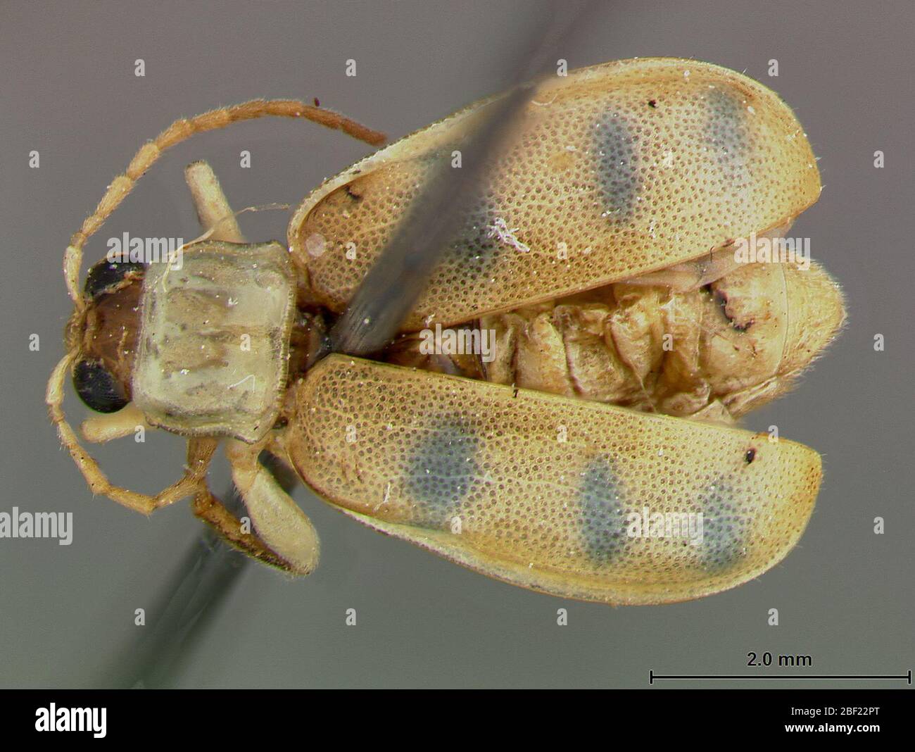 Data Coll High Resolution Stock Photography and Images - Alamy