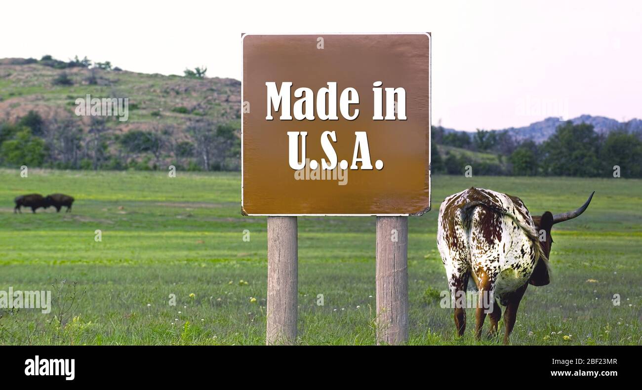 Our Cows are Made in USA Stock Photo - Alamy