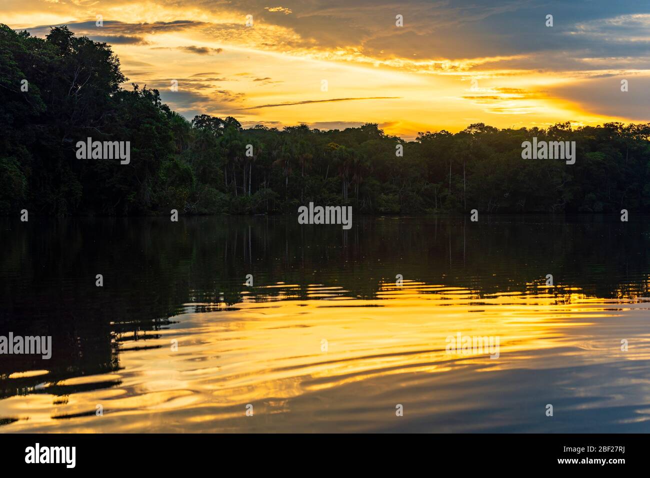 Sunset by a lagoon in the Amazon Rainforest with reflection of the Tree ...