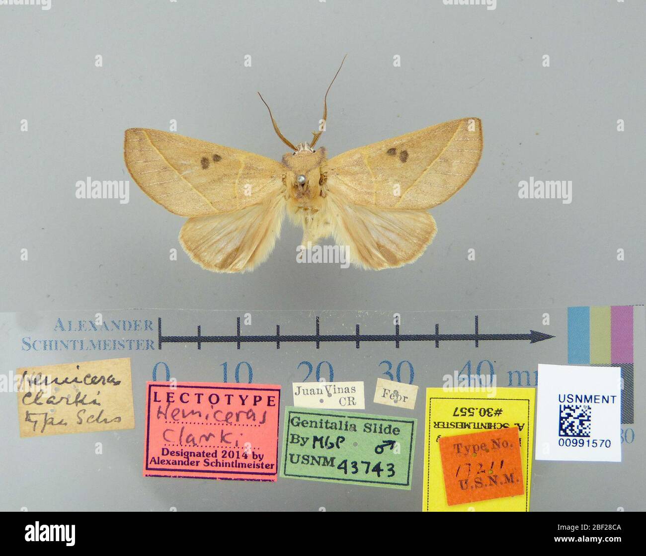 Clarki hi-res stock photography and images - Alamy