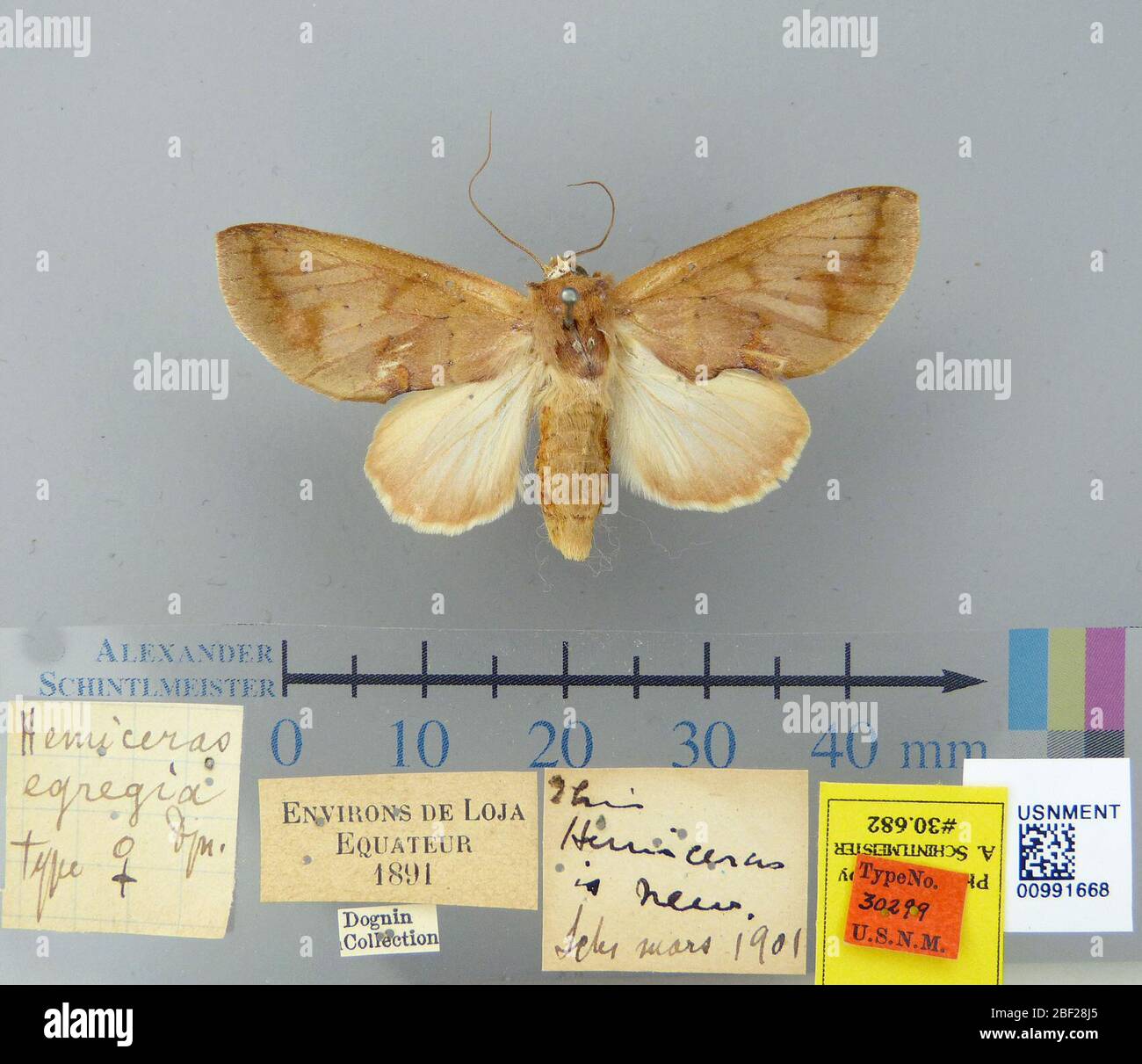 Egregia hi-res stock photography and images - Alamy