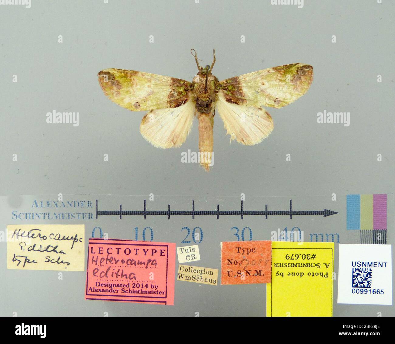 Editha hi-res stock photography and images - Alamy