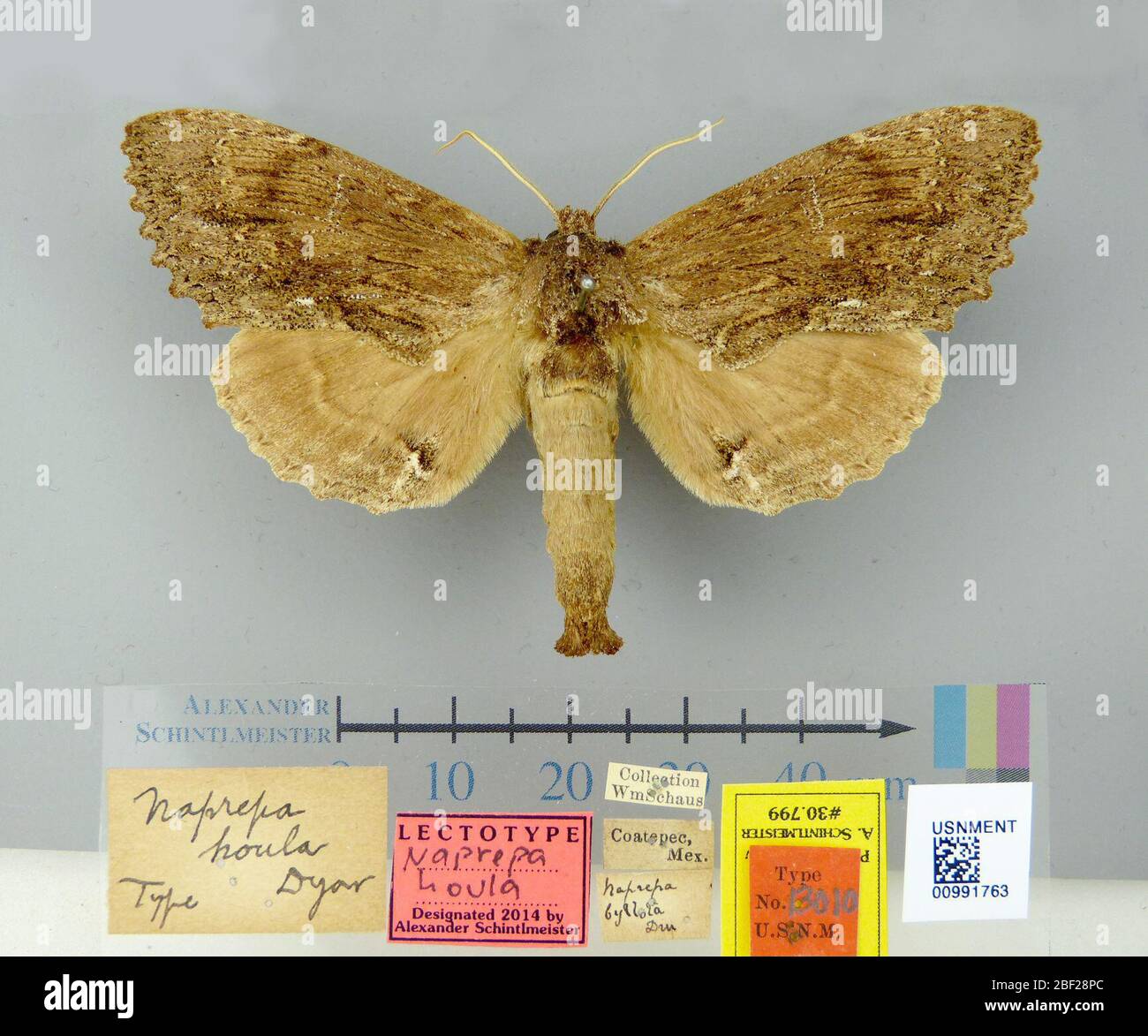 Houla hi-res stock photography and images - Alamy