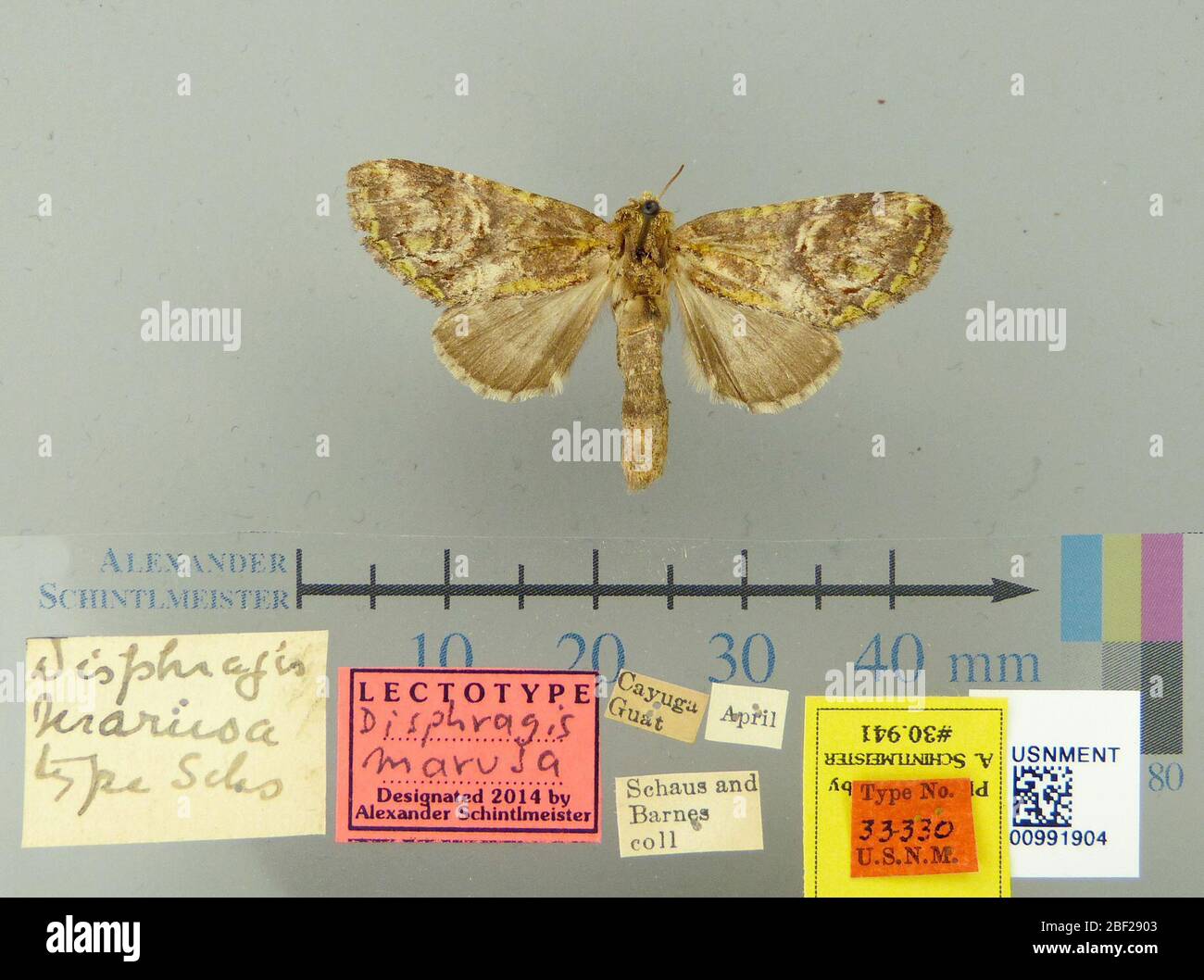 Marusa hi-res stock photography and images - Alamy