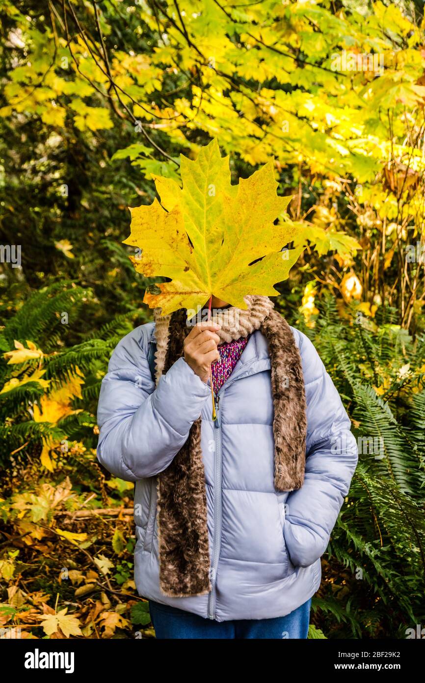 Maple flag exercise hi-res stock photography and images - Alamy