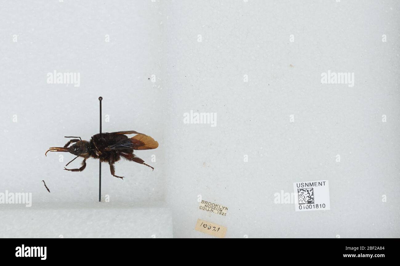 Det symbol hi-res stock photography and images - Alamy