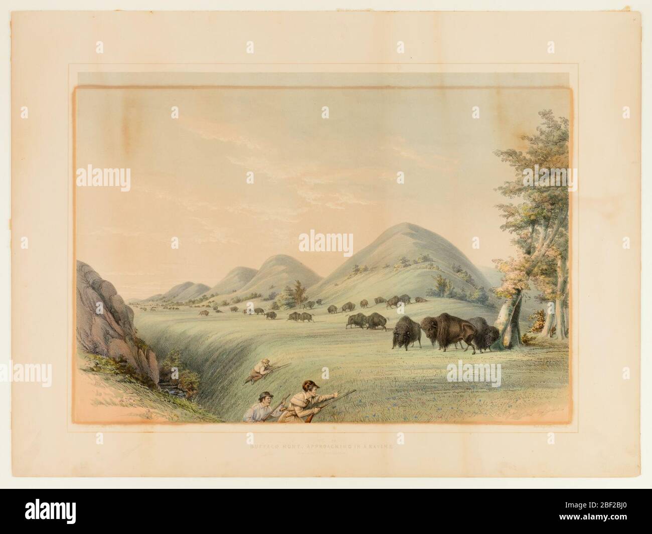 Buffalo hunting illustration hi-res stock photography and images - Alamy