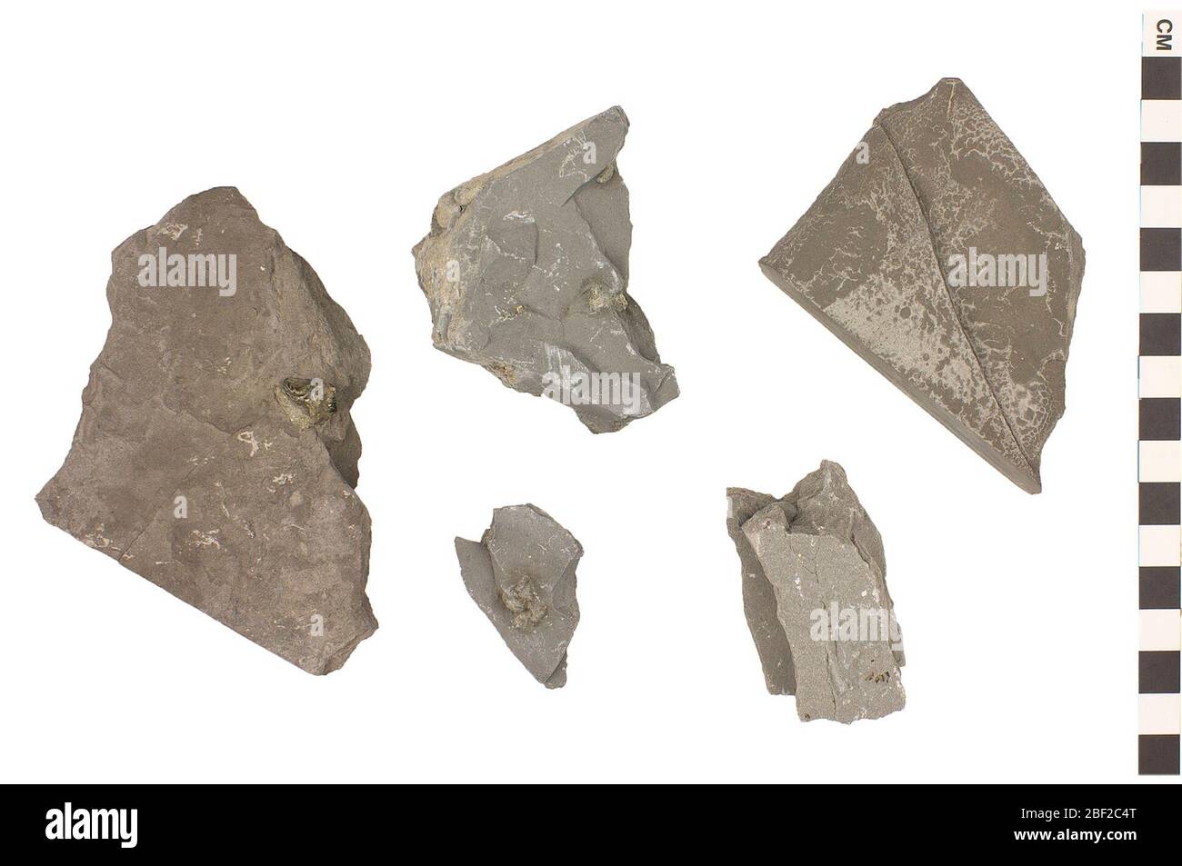 Sedimentary Rock Shale. This object is part of the Education and ...