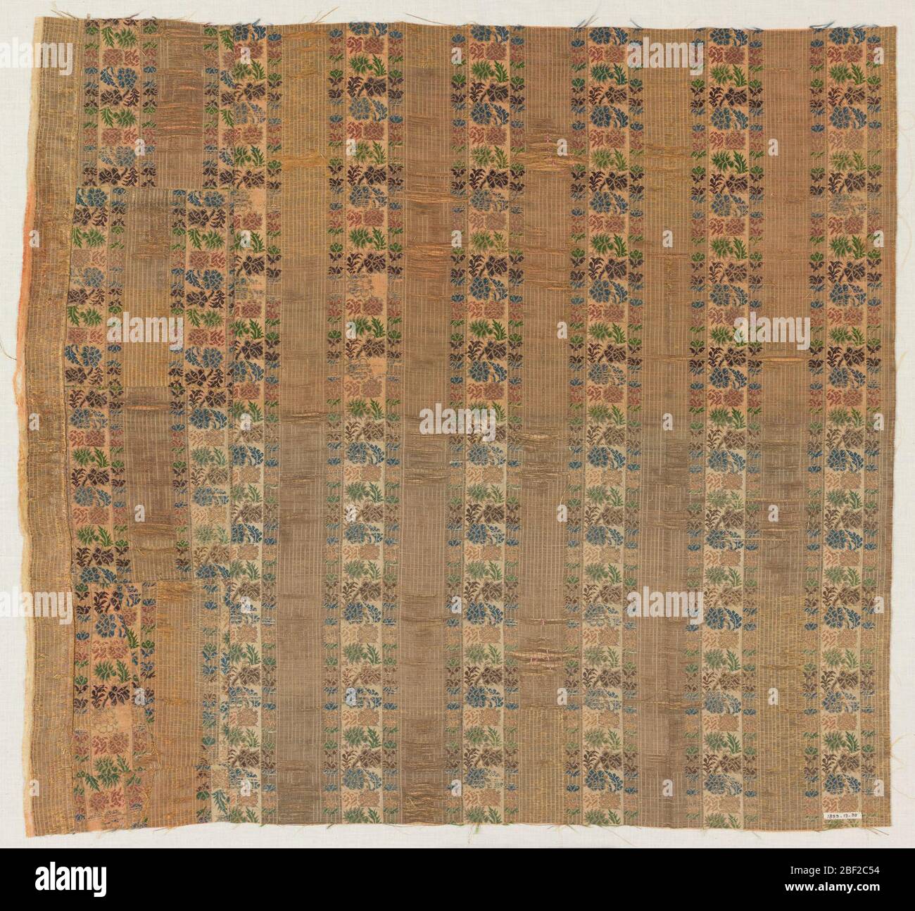 Narrower flower hi-res stock photography and images - Alamy